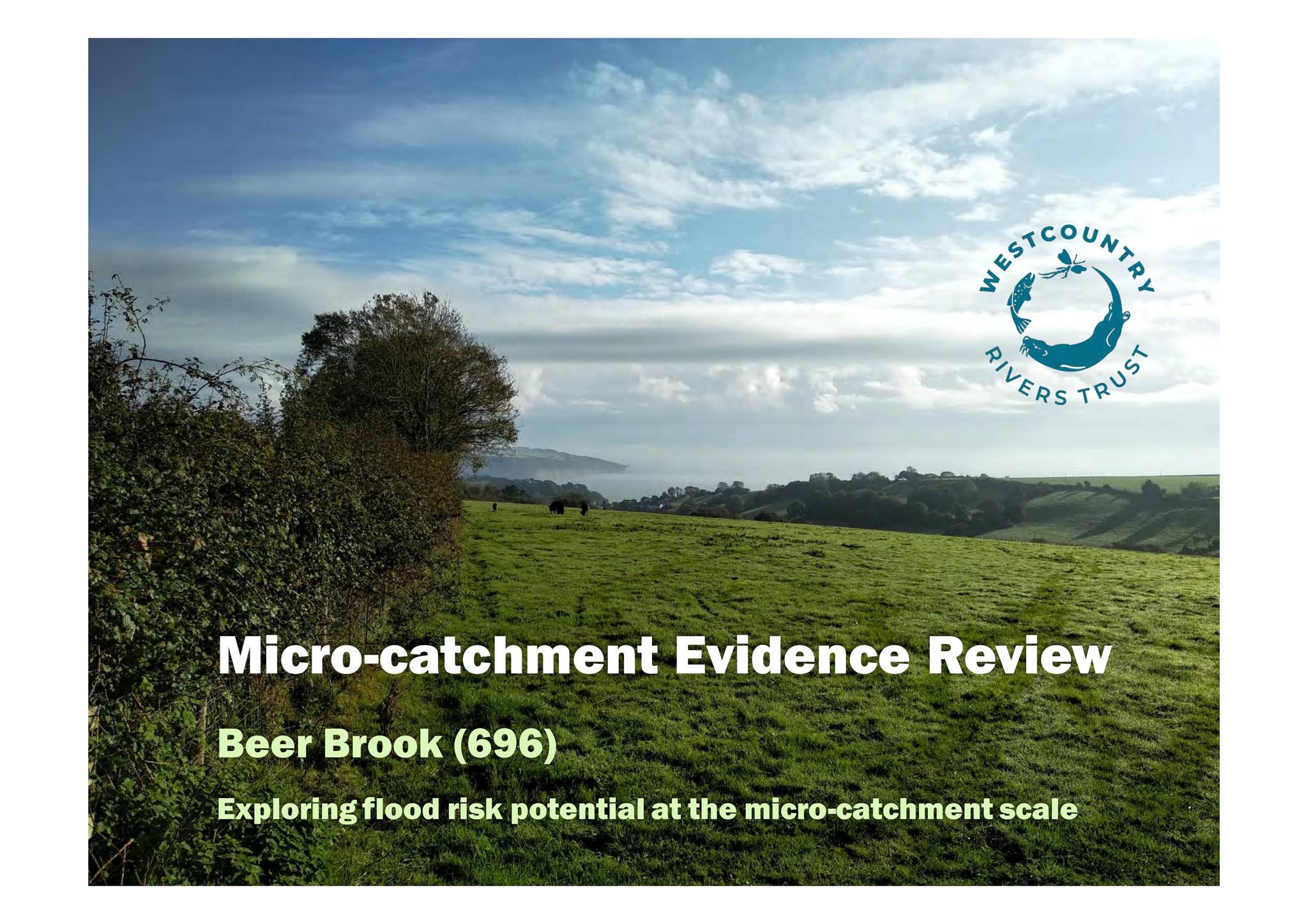 Micro-catchment Evidence Review - Beer Brook by Westcountry Rivers ...