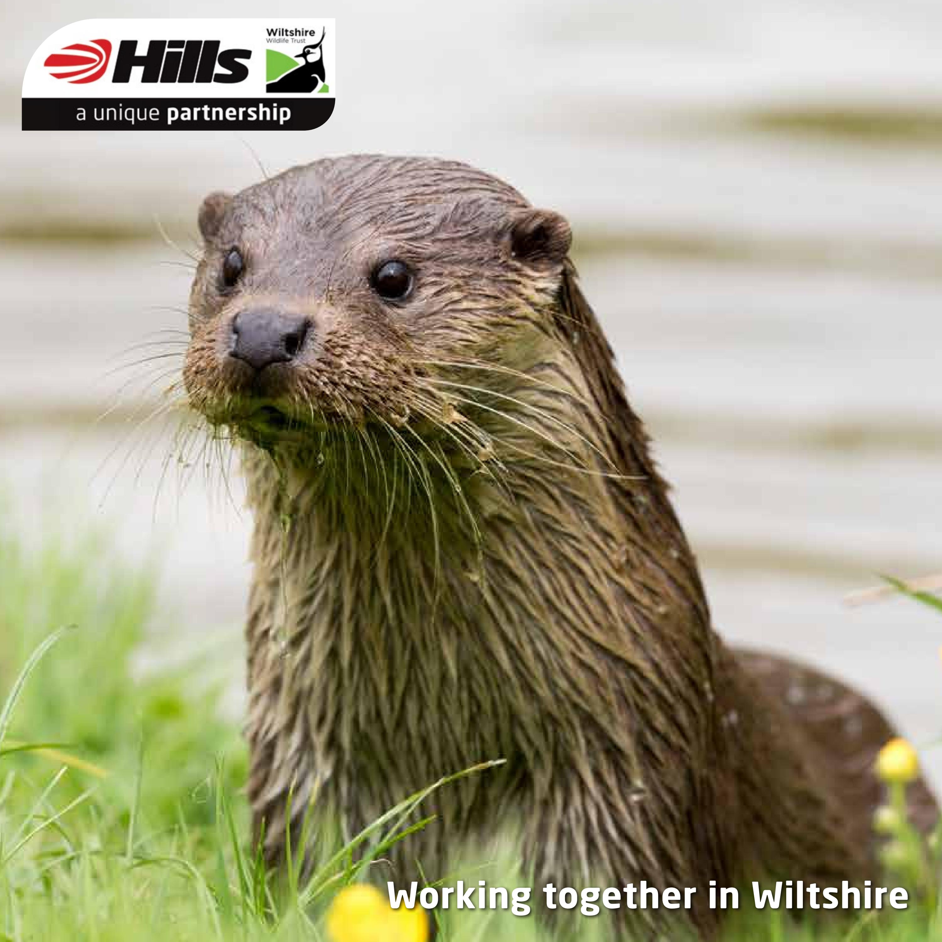 Wiltshire Wildlife Trust and Hills working together by TheHillsGroup ...