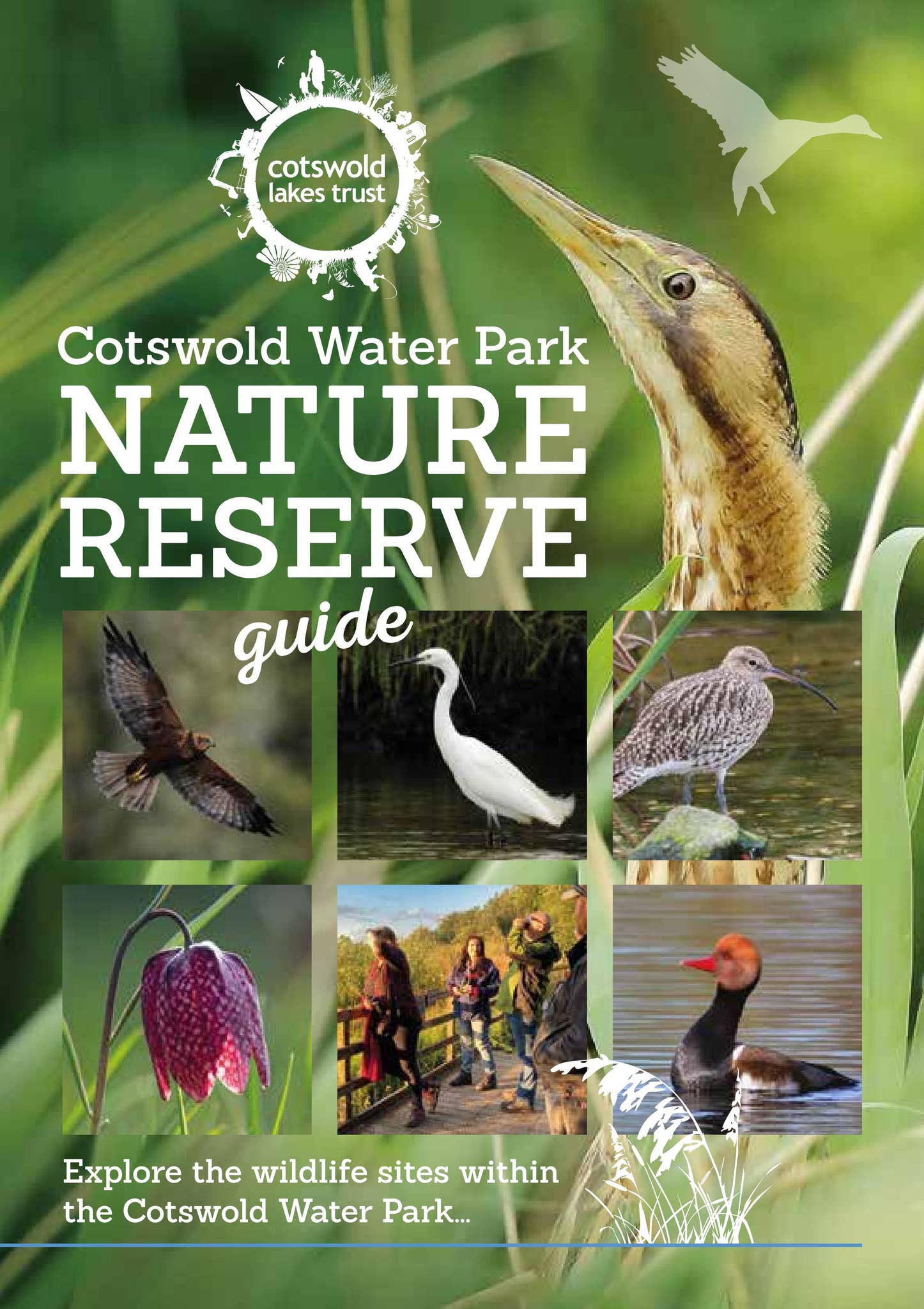 Cotswold Water Park Nature Reserve Guide by TheHillsGroup - Issuu