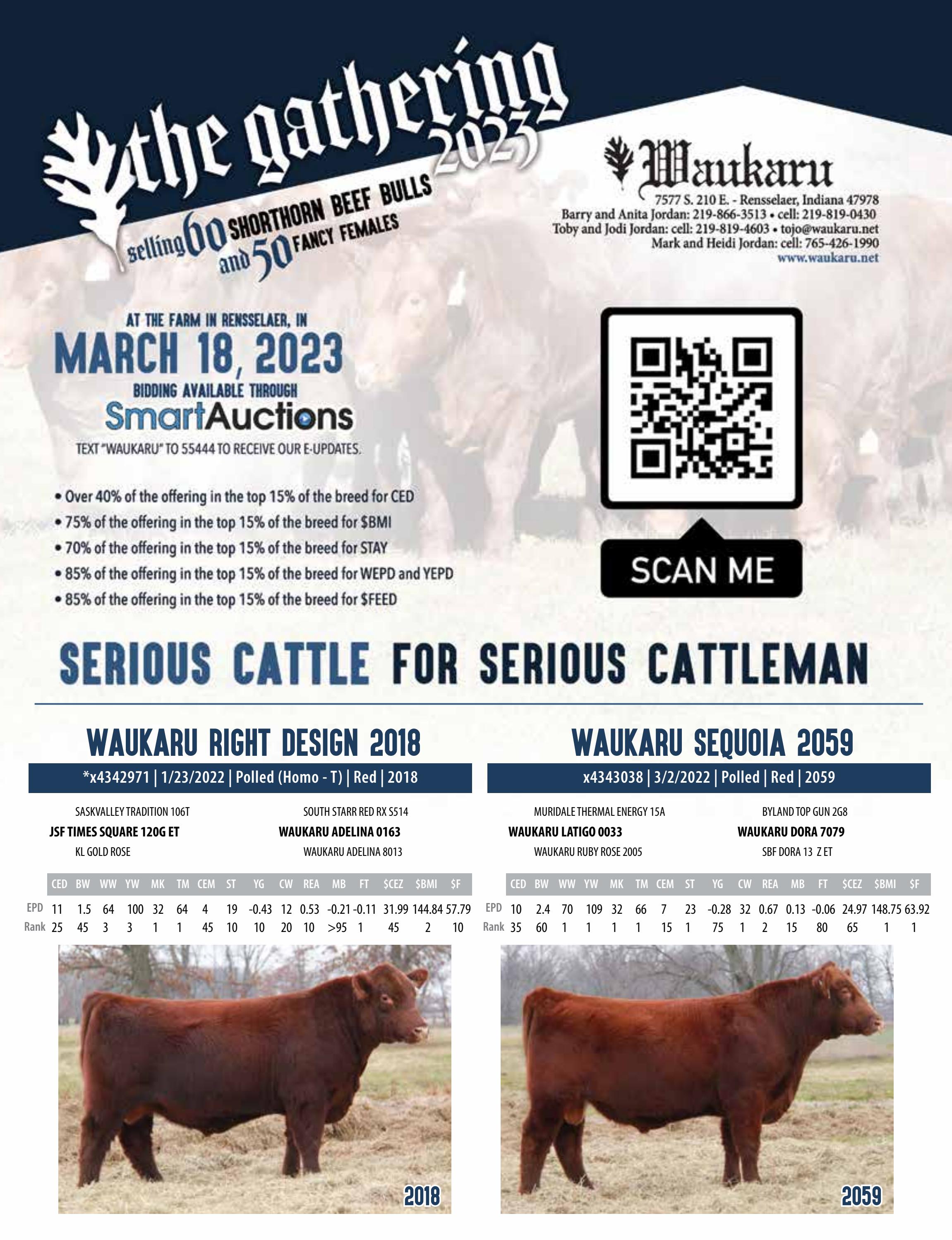 Waukaru “The Gathering 2023” Bull Sale Flyer by SCI - Stephanie Cronin ...