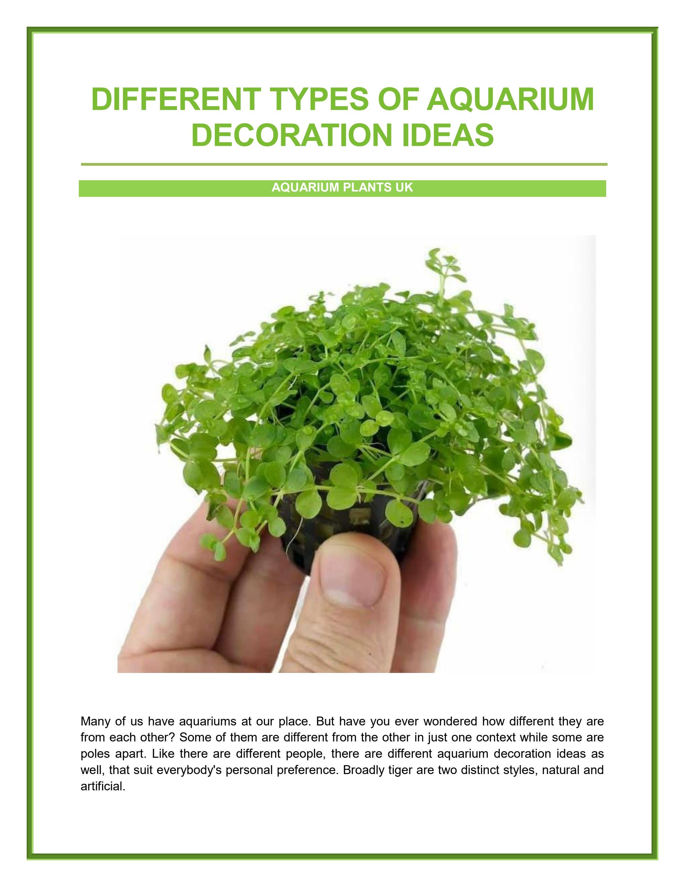 Different types of Aquarium Decoration Ideas by Aqua Essentials - Issuu