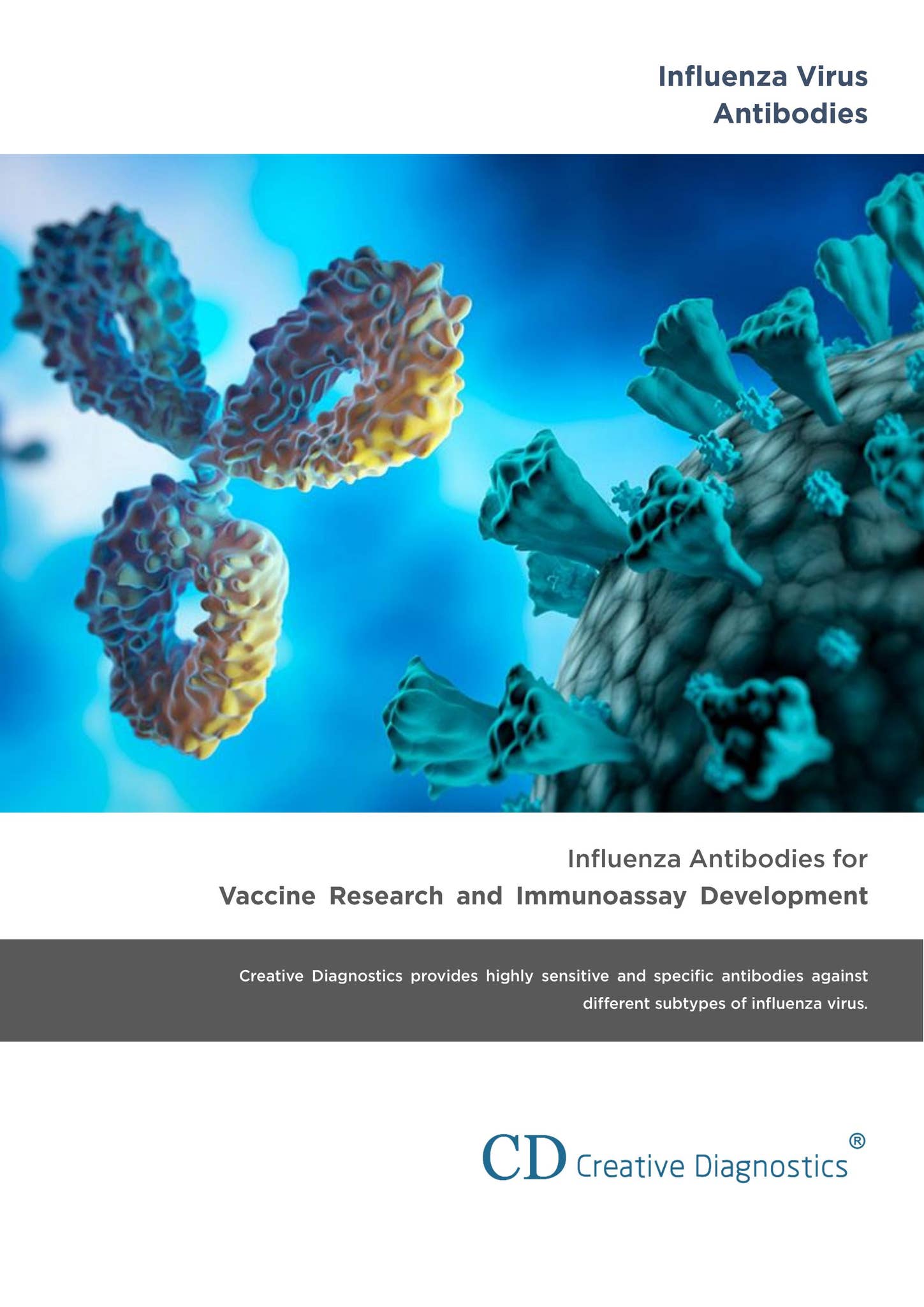 Influenza Virus Antibodies by Creative Diagnostics - Issuu