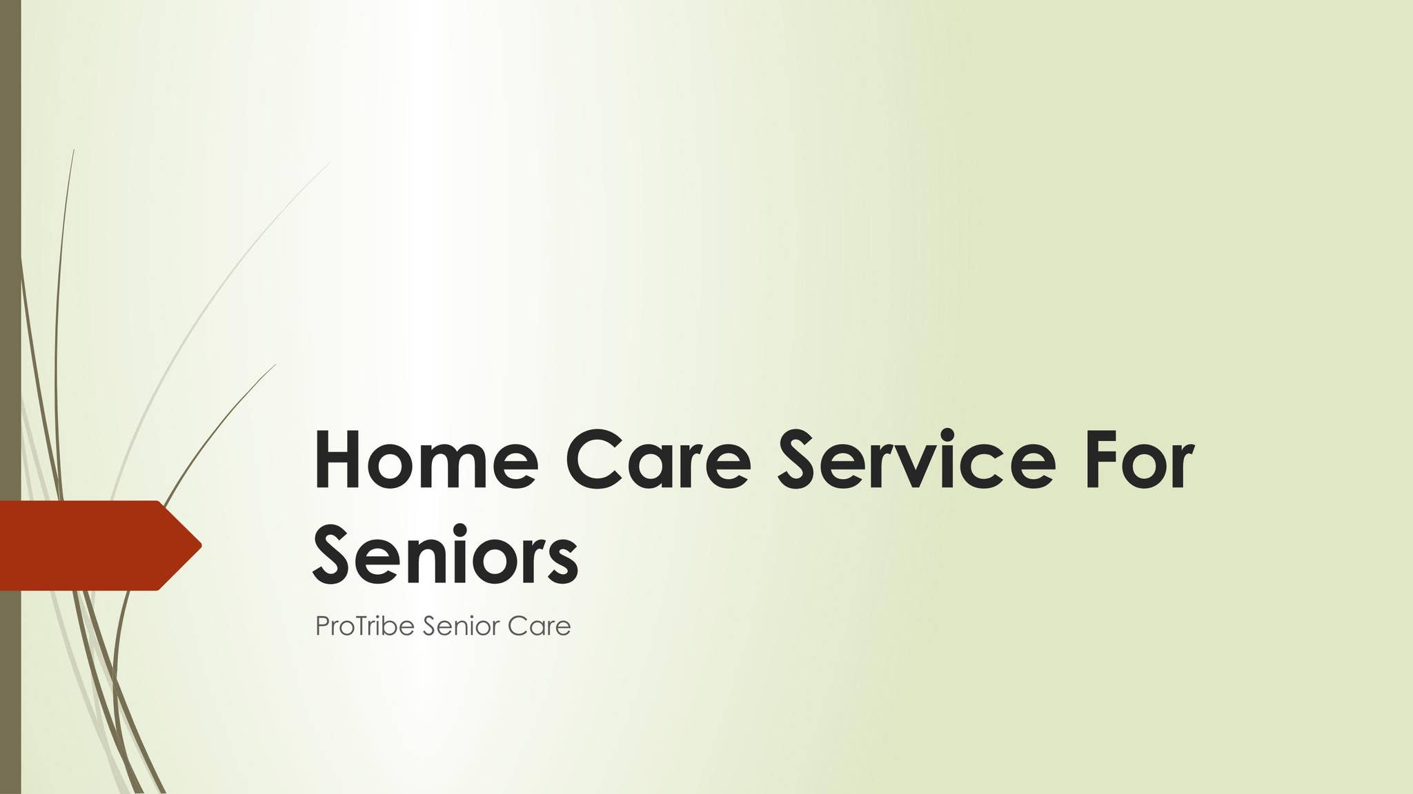 Home Care Service For Seniors by seniorguide - Issuu