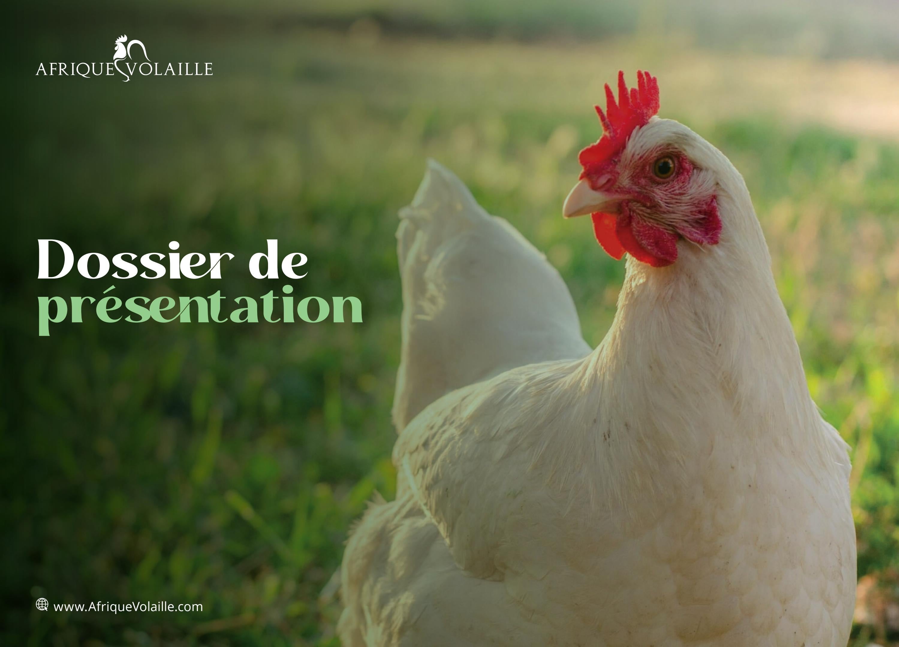 Afrique volaille by hicham abfth - Issuu