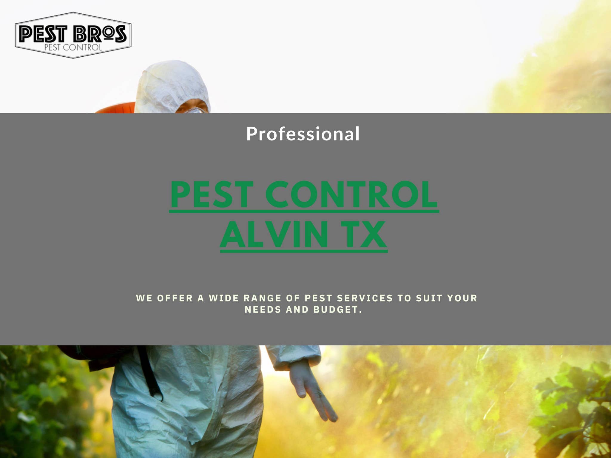 How to Prevent Infestation of Your Alvin TX Property? by The Pest Bros ...