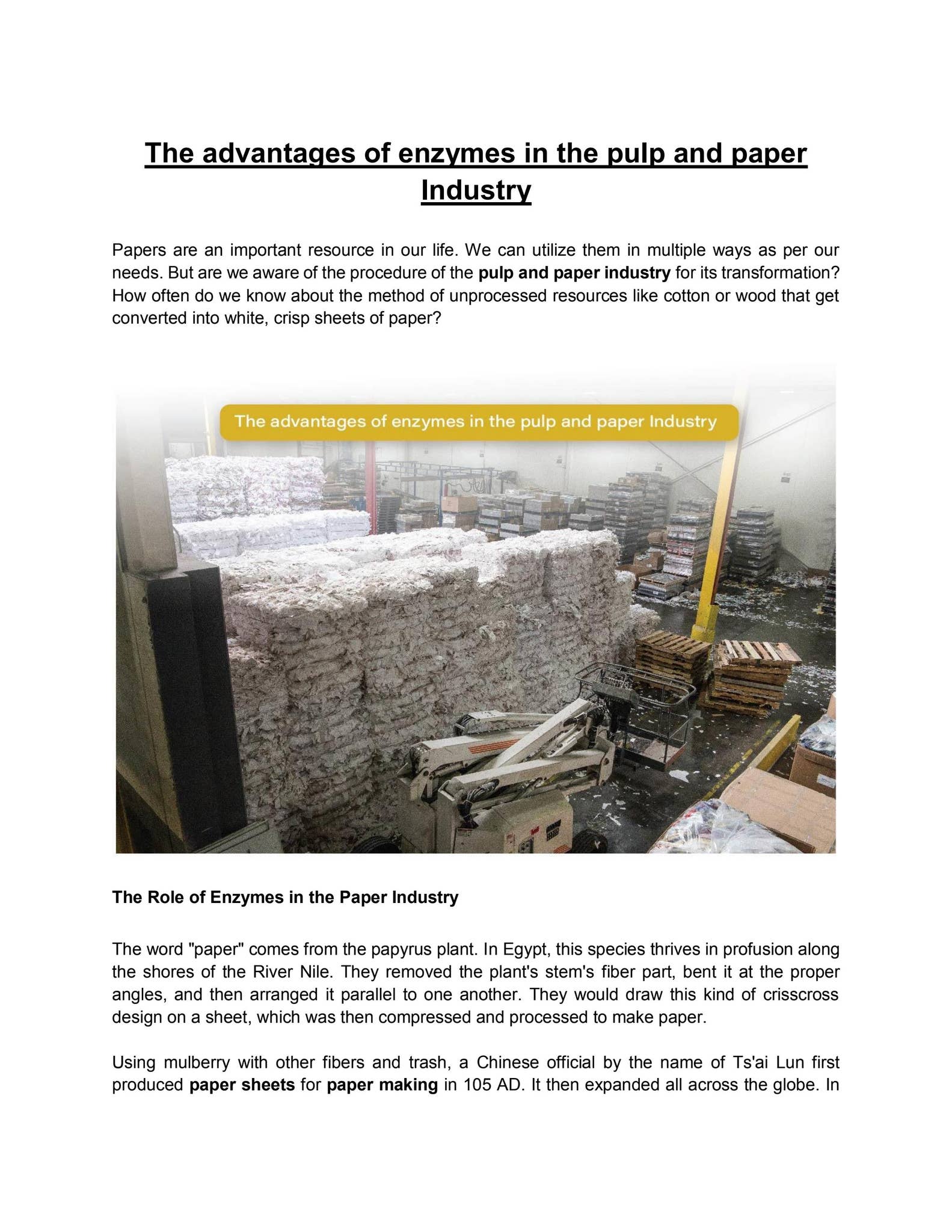The advantages of enzymes in the pulp and paper Industry by Ultreze ...