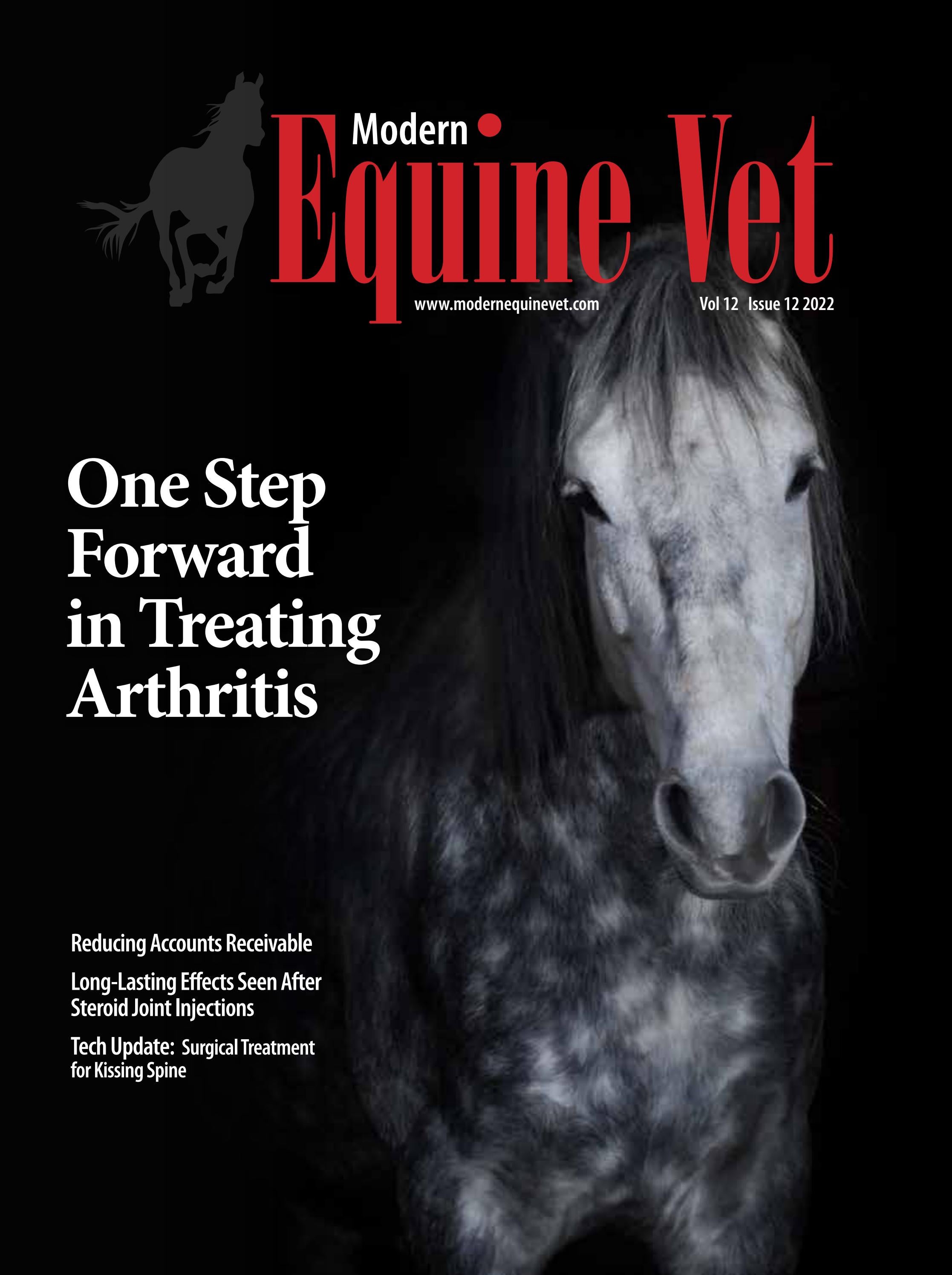 The Modern Equine Vet - December 2022 by The Modern Equine Vet - Issuu
