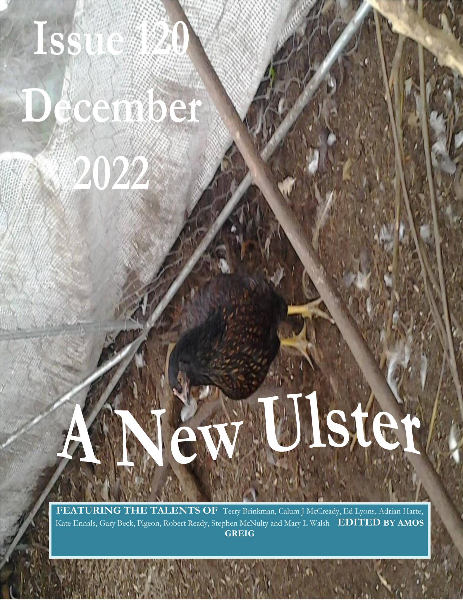 A New Ulster 120 by Amos Greig - Issuu