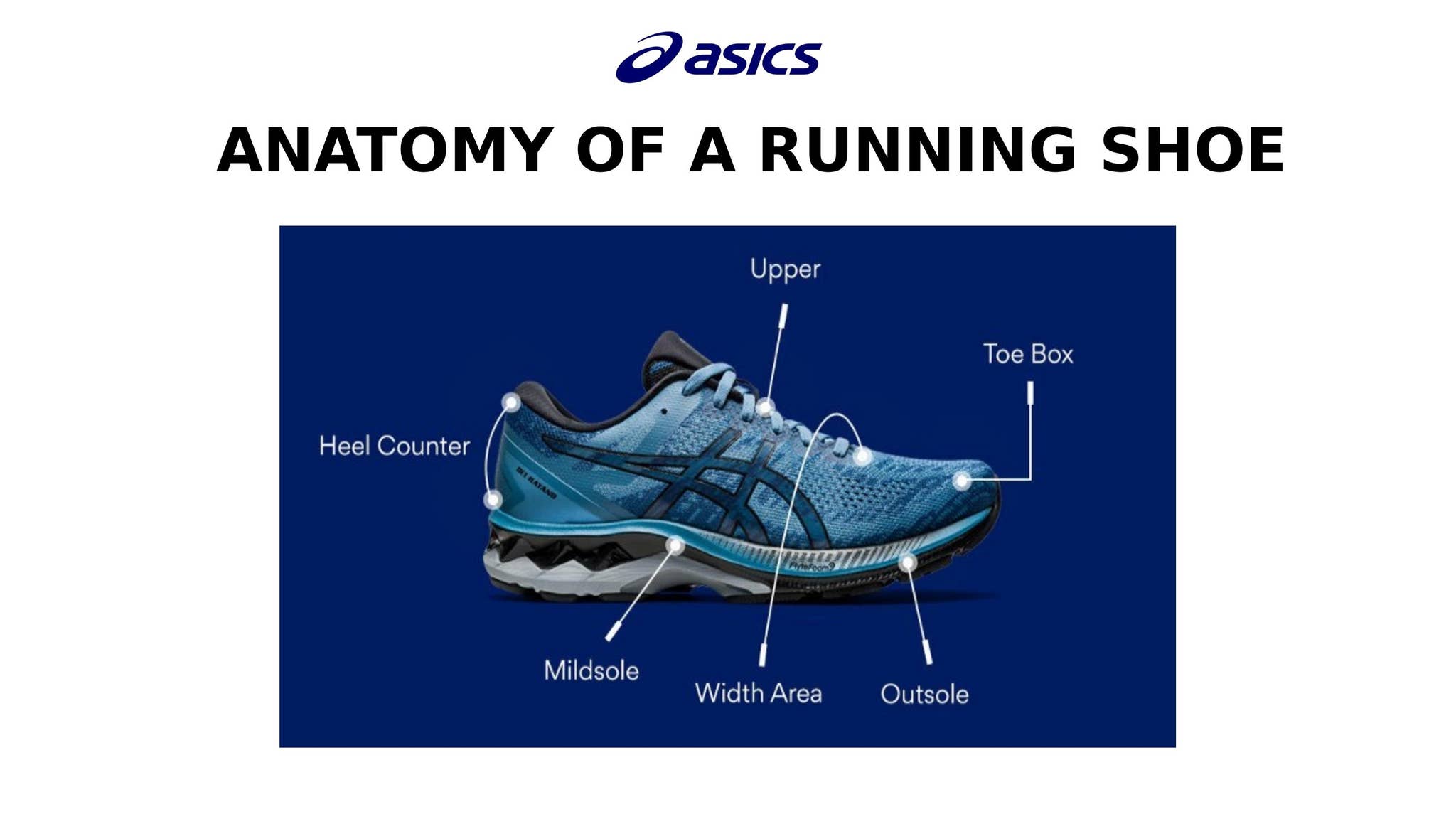 Anatomy Of A Running Shoe - A Complete Guide | Asics India by Asics2022 ...