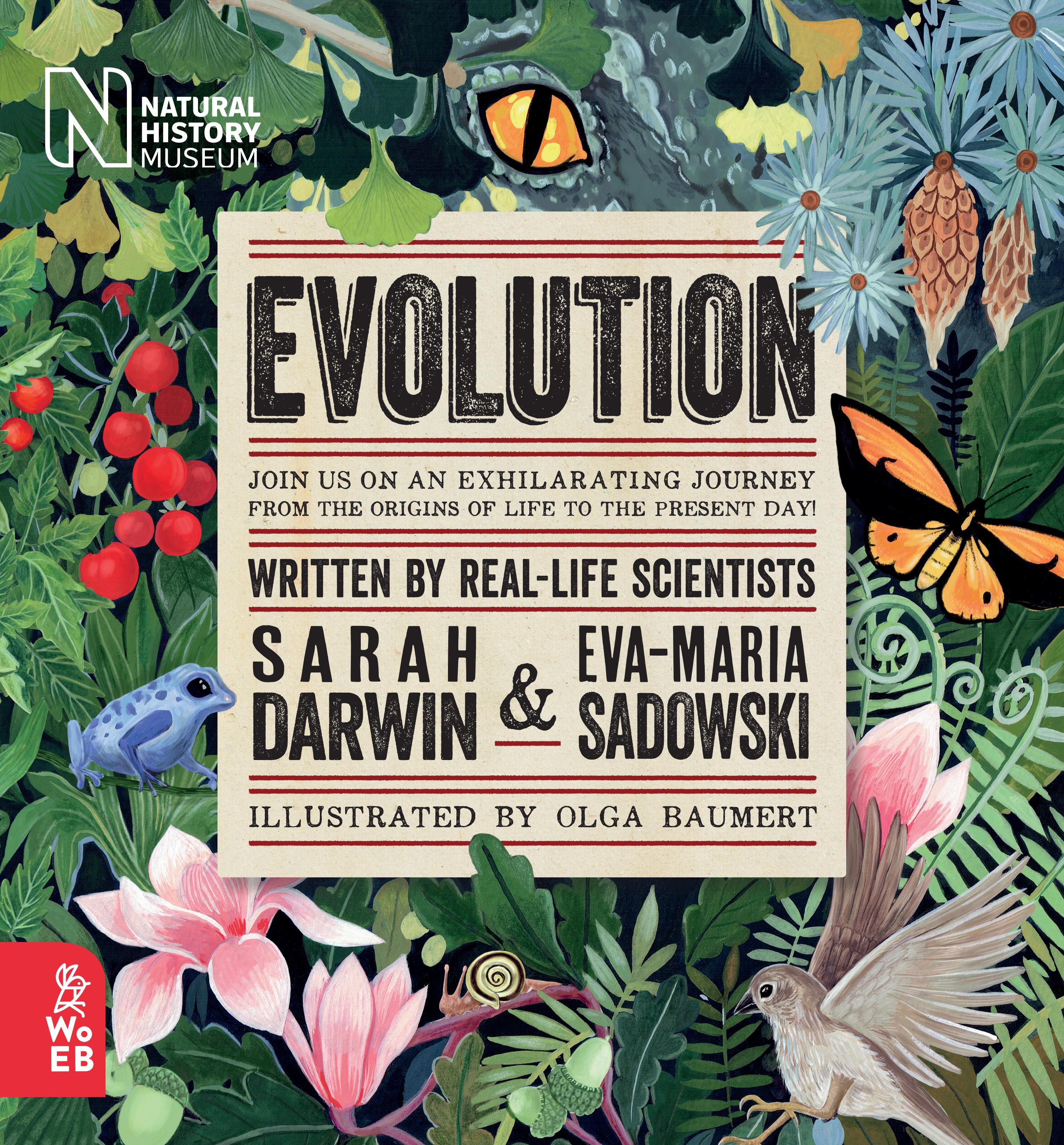 Evolution Uk Blad By What On Earth Books Issuu