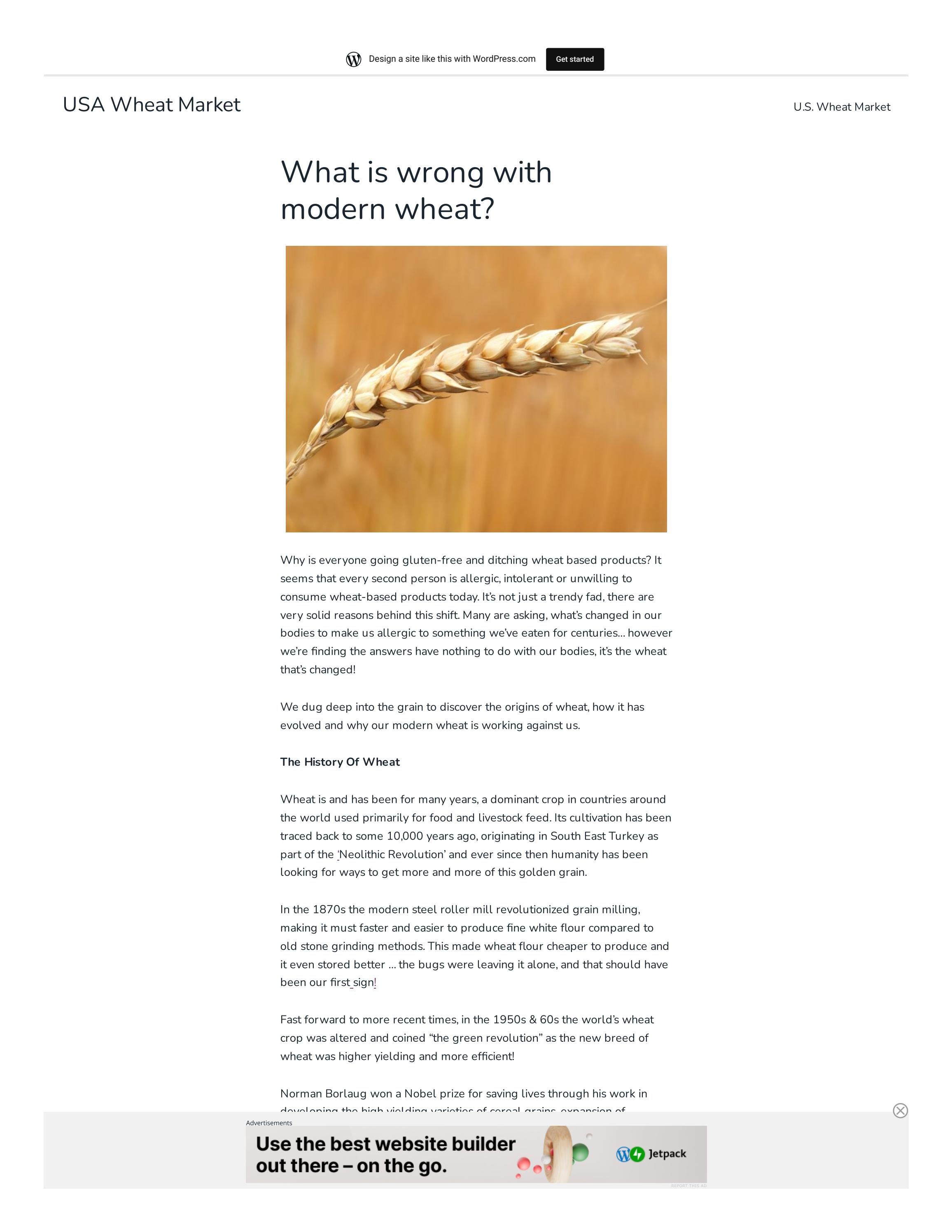 What is wrong with modern wheat? by Lesley Harris - Issuu