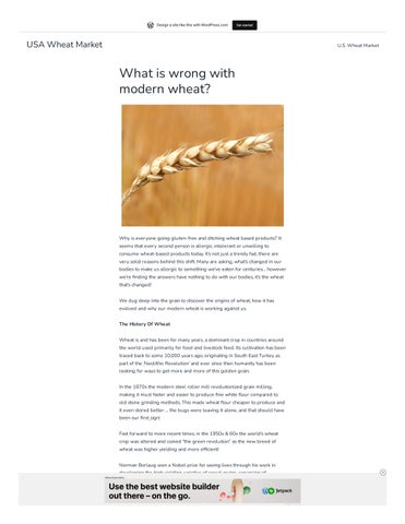 What is wrong with modern wheat? by Lesley Harris - Issuu