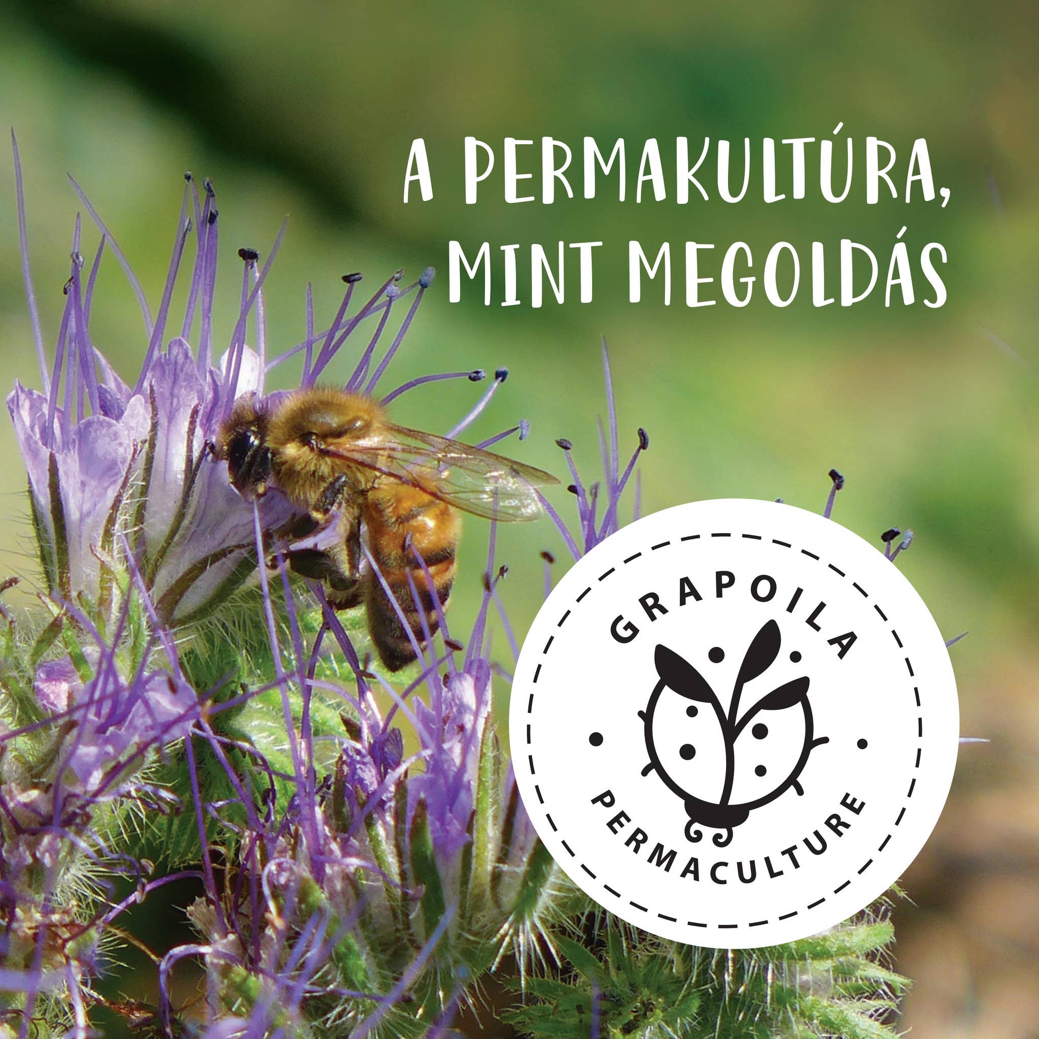A permakultúra, mint megoldás by Grapoila - Issuu