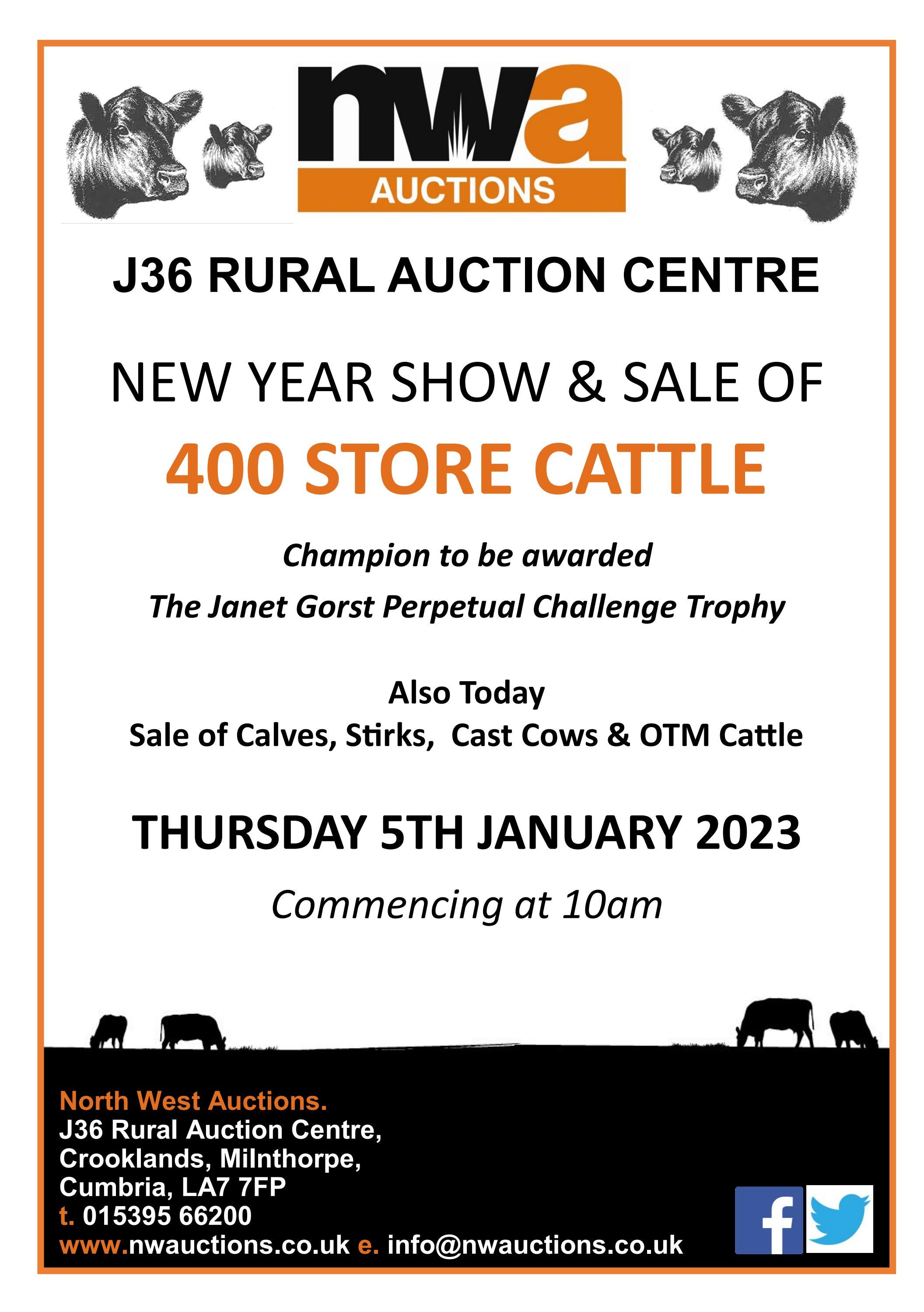 J36 New Year Cattle Sale, Thursday 5th January 2023 by North West ...