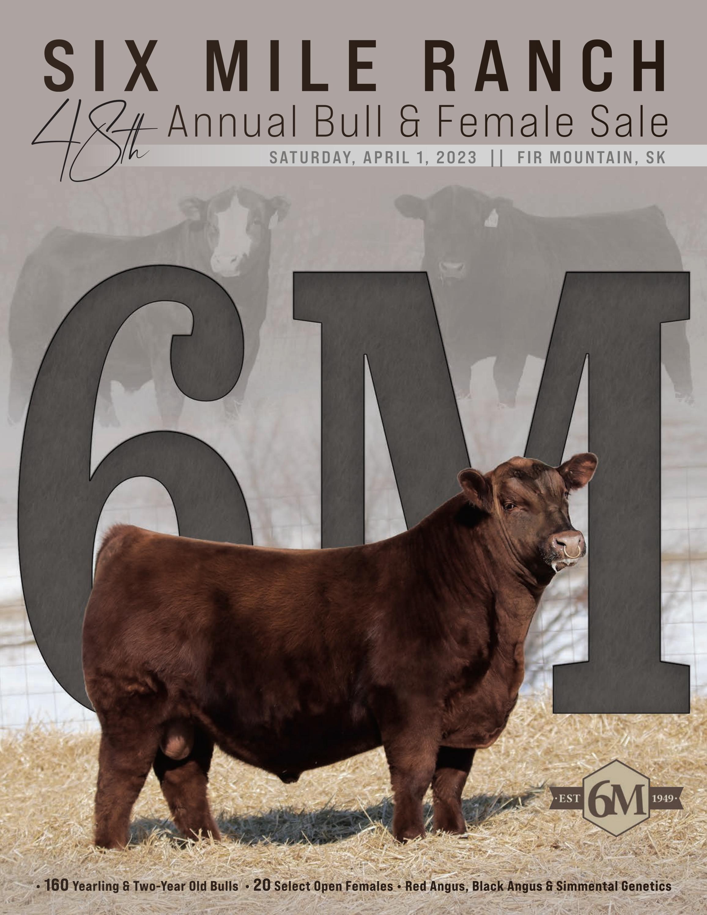 Six Mile Bull & Female Sale 2023 - Pamphlet by Today's Publishing Inc ...