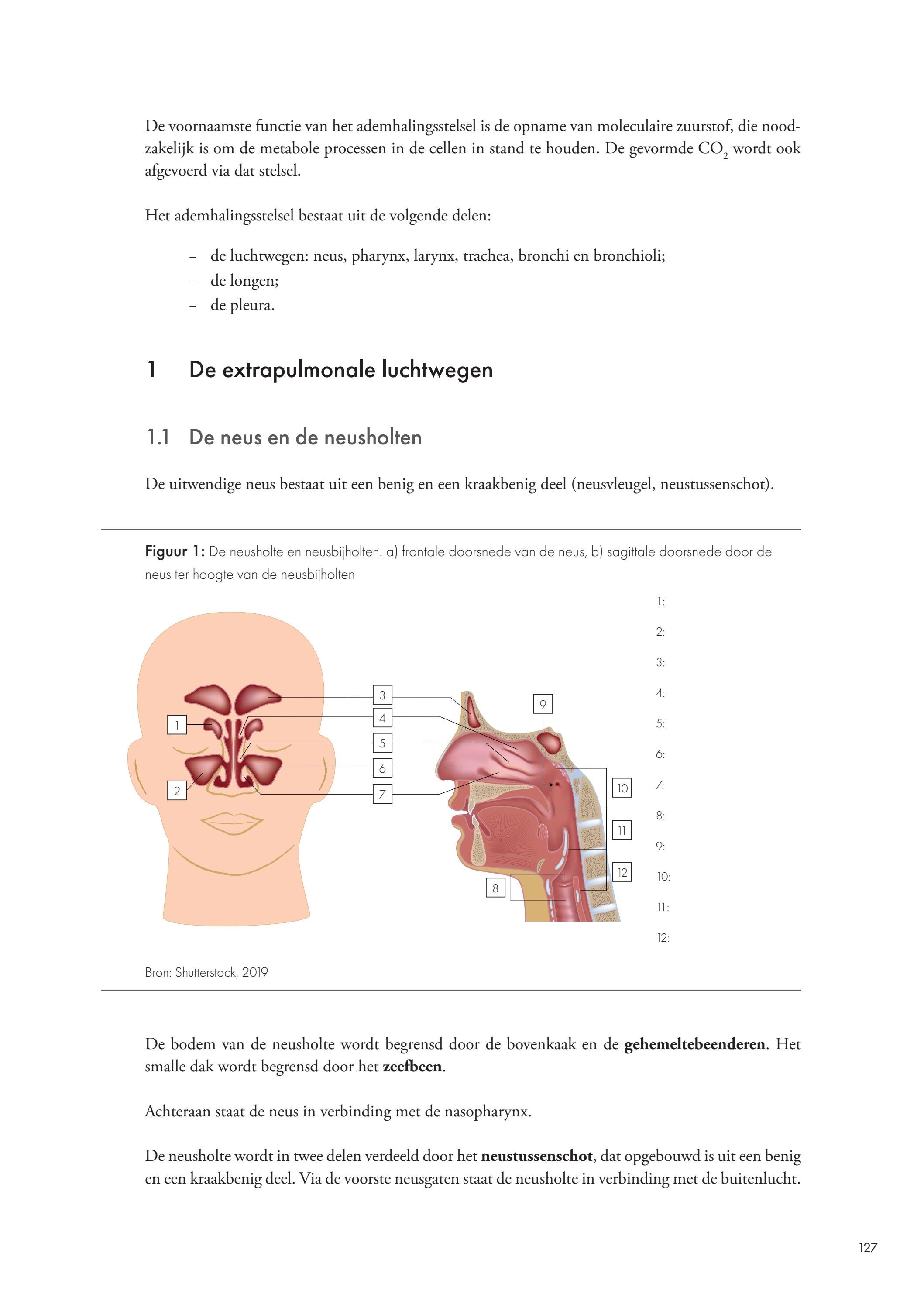Algemene menselijke anatomie en fysiologie_2022_voorbeeldhoofdstuk by ...