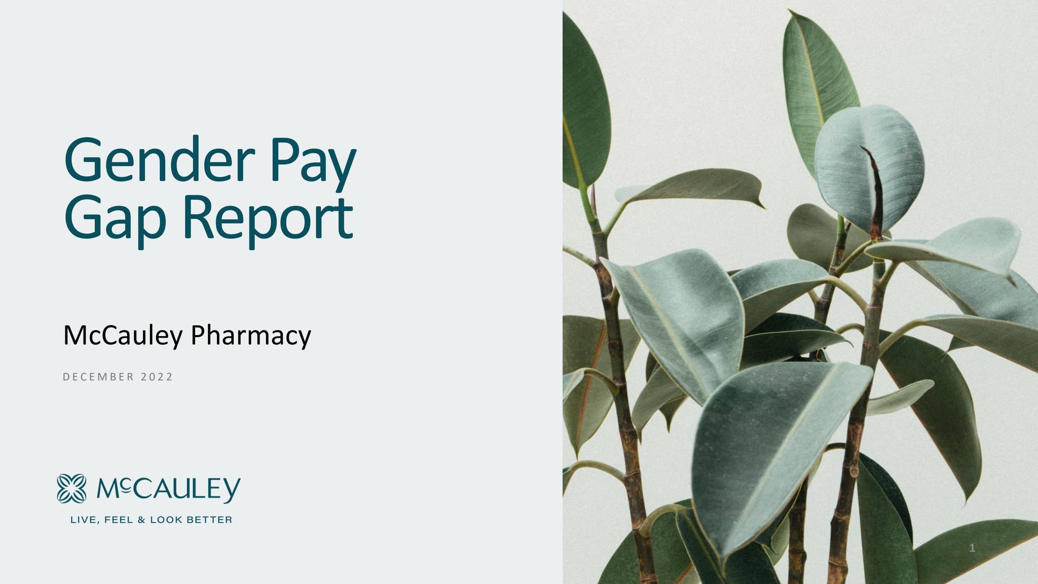 McCauley Gender Pay Report by smcc8 - Issuu