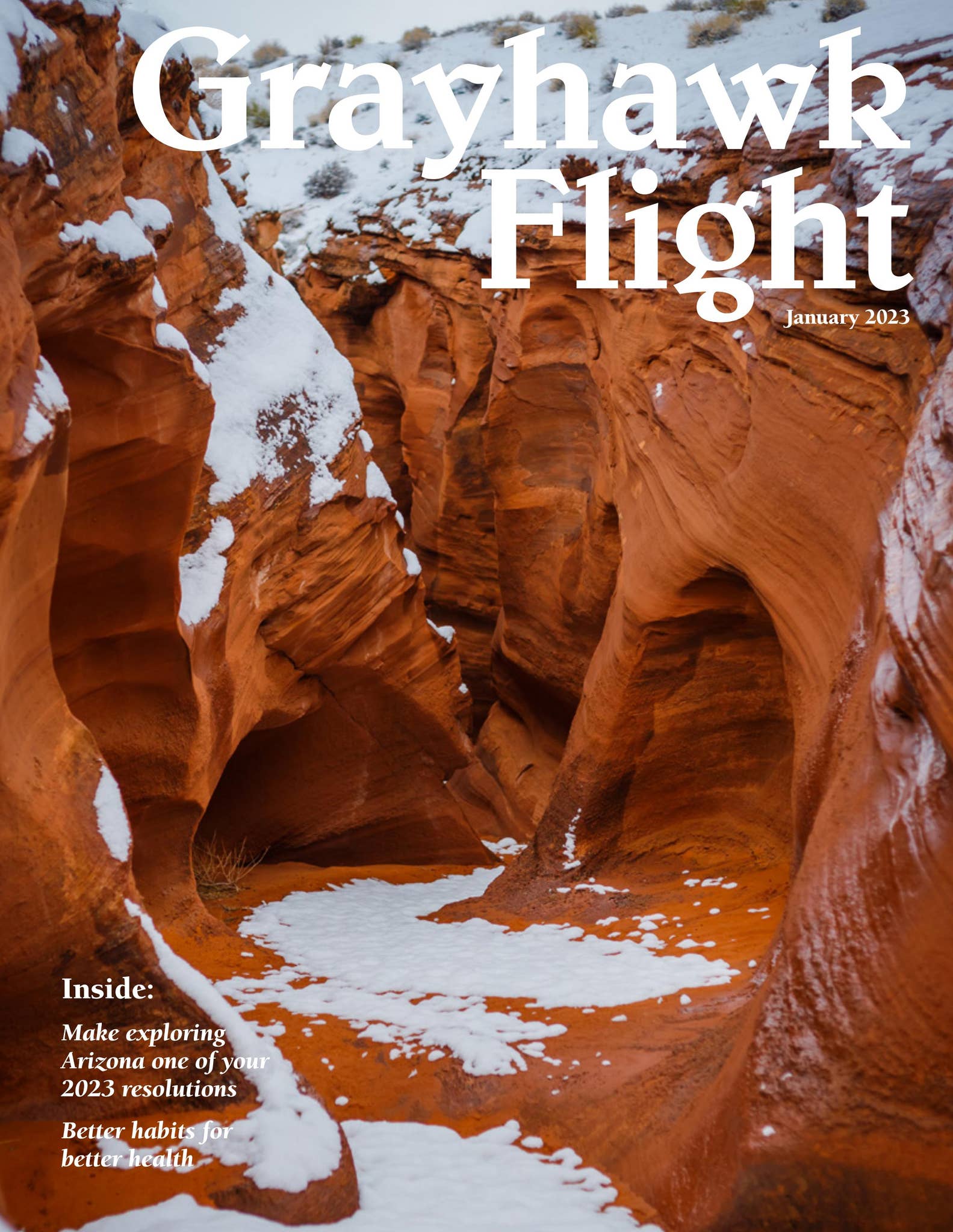 The Grayhawk Flight- January 2023 by Grayhawk Flight - Issuu