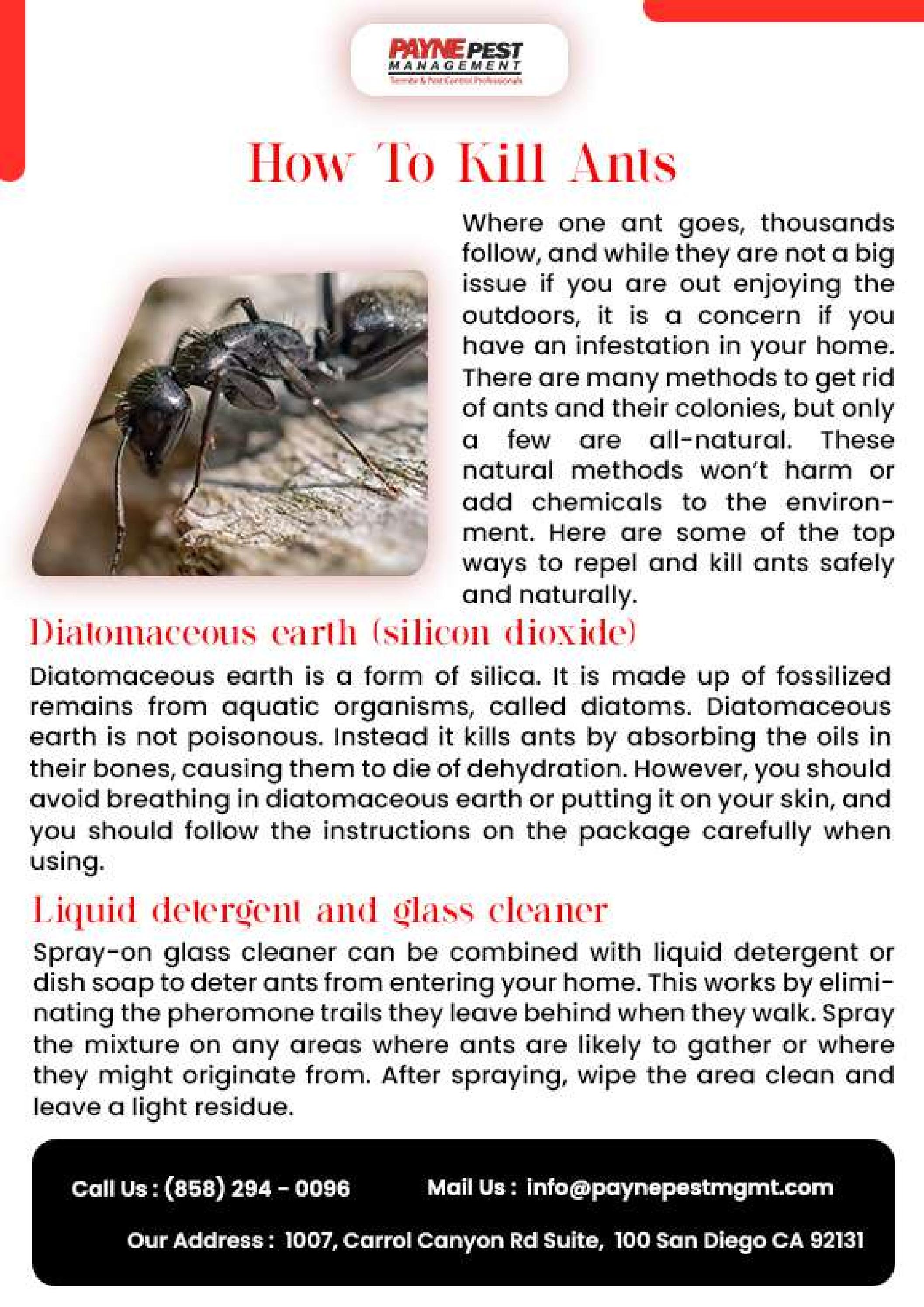 San diego Pest Inspection | Termite Control San diego by Payne pest - Issuu