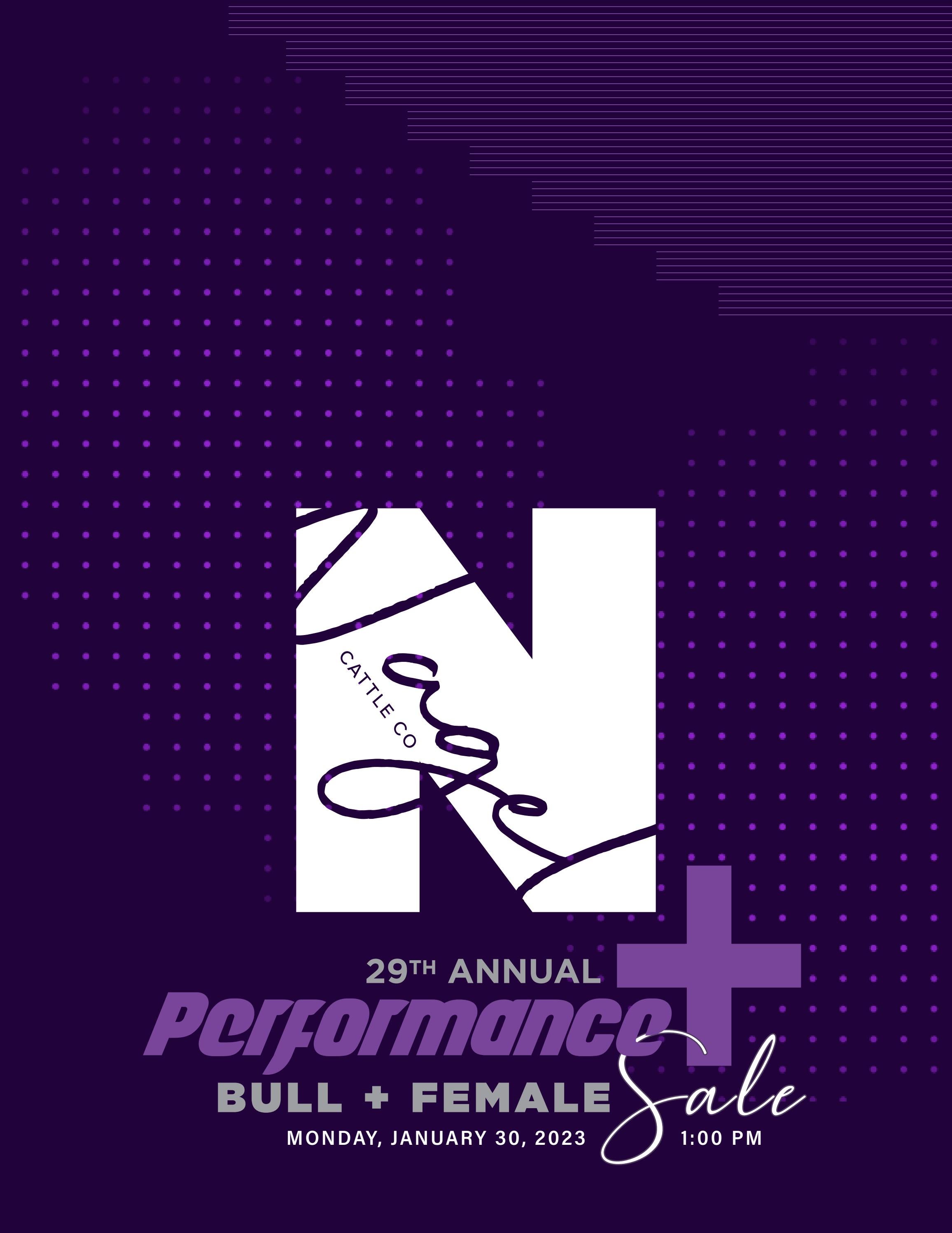 Nagel Cattle Company - 29th Annual Performance+ Bull + Female Sale by ...