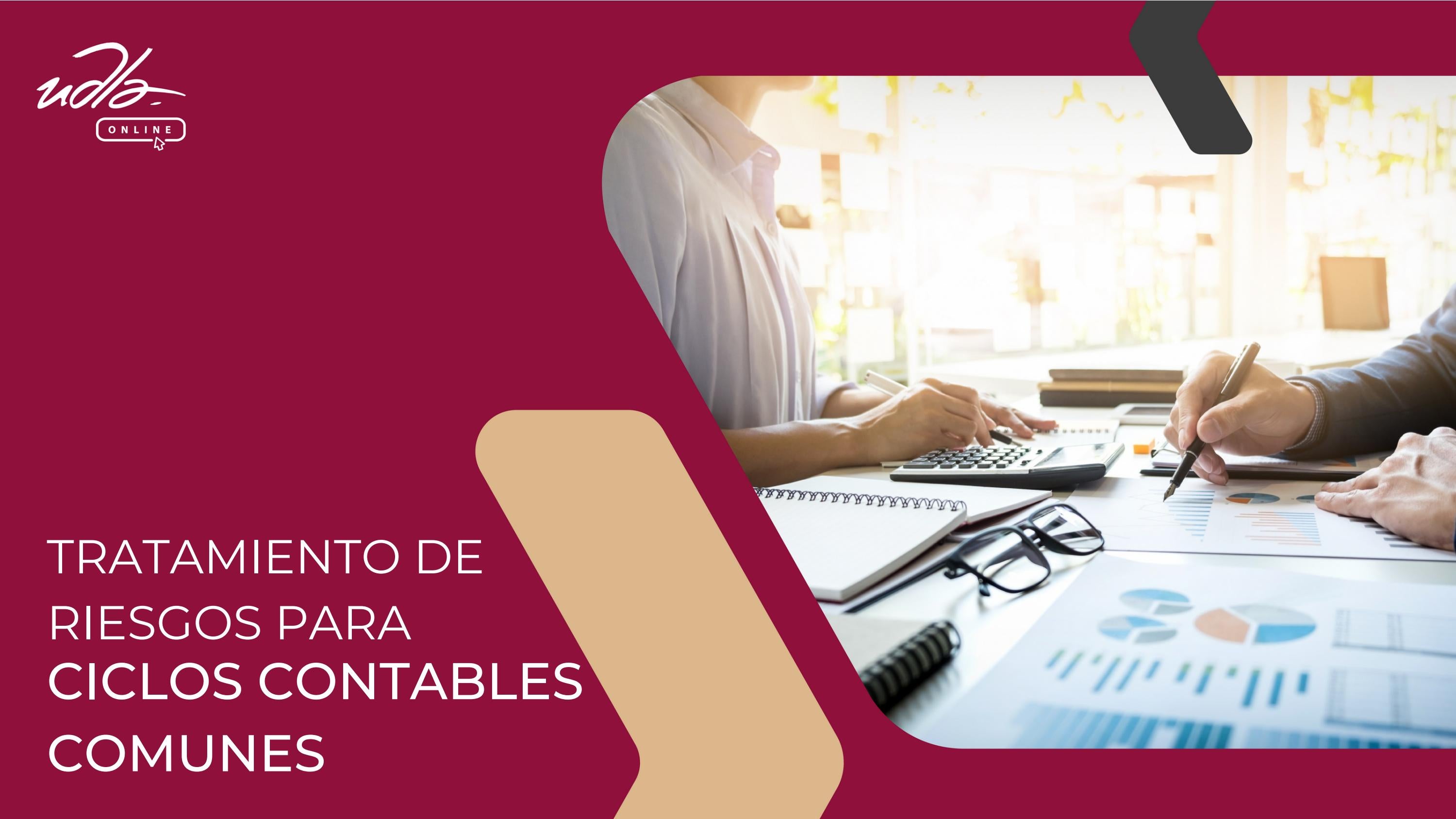 TRATAMIENTO DE RIESGOS PARA CICLOS CONTABLES COMUNES by DIRECCIÓN DE EDUCACIÓN EN LINEA - UDLA ...