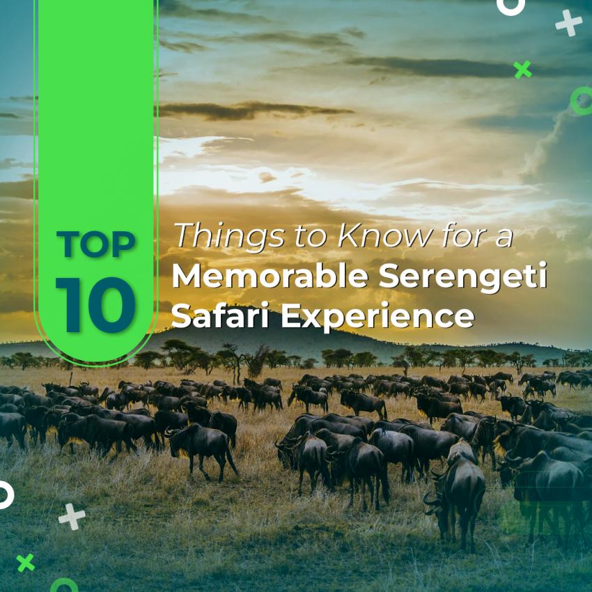 Top 10 Things To Know For A Memorable Serengeti Safari Experience! by ...