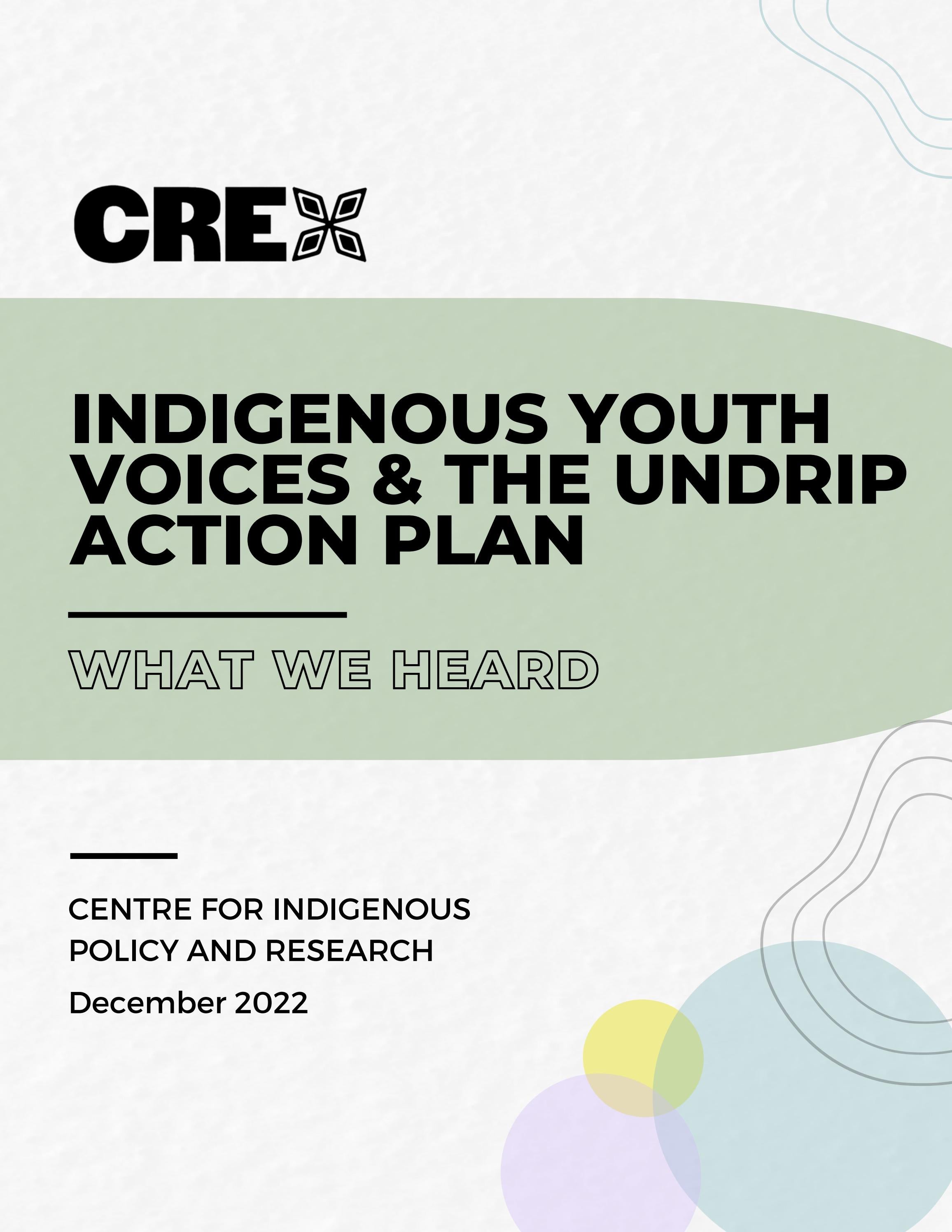 Indigenous Youth Voices & The UNDRIP Action Plan December 2022 by ...