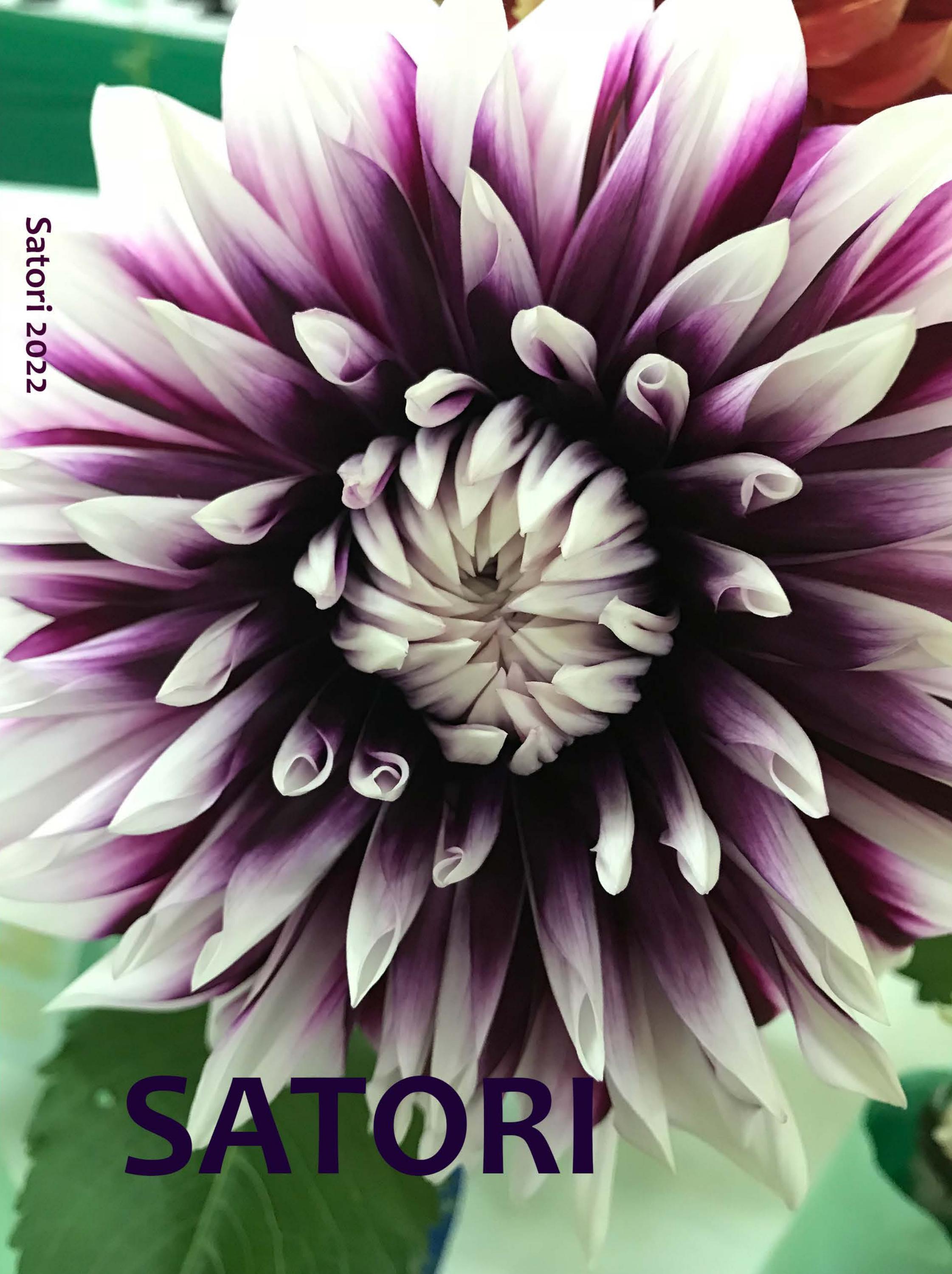 Satori 2022 by wsuopenriver - Issuu