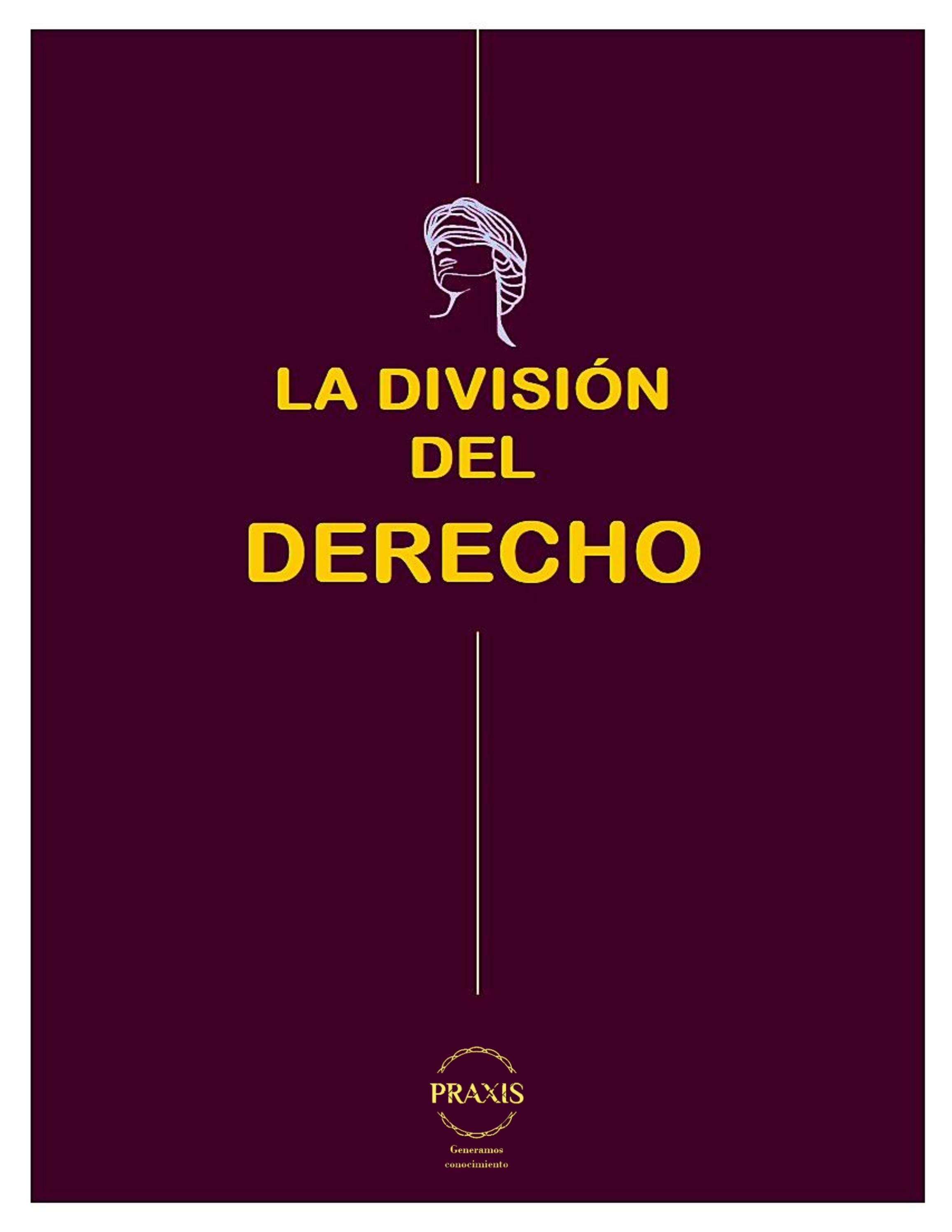 La división del Derecho by Praxis Capital - Issuu