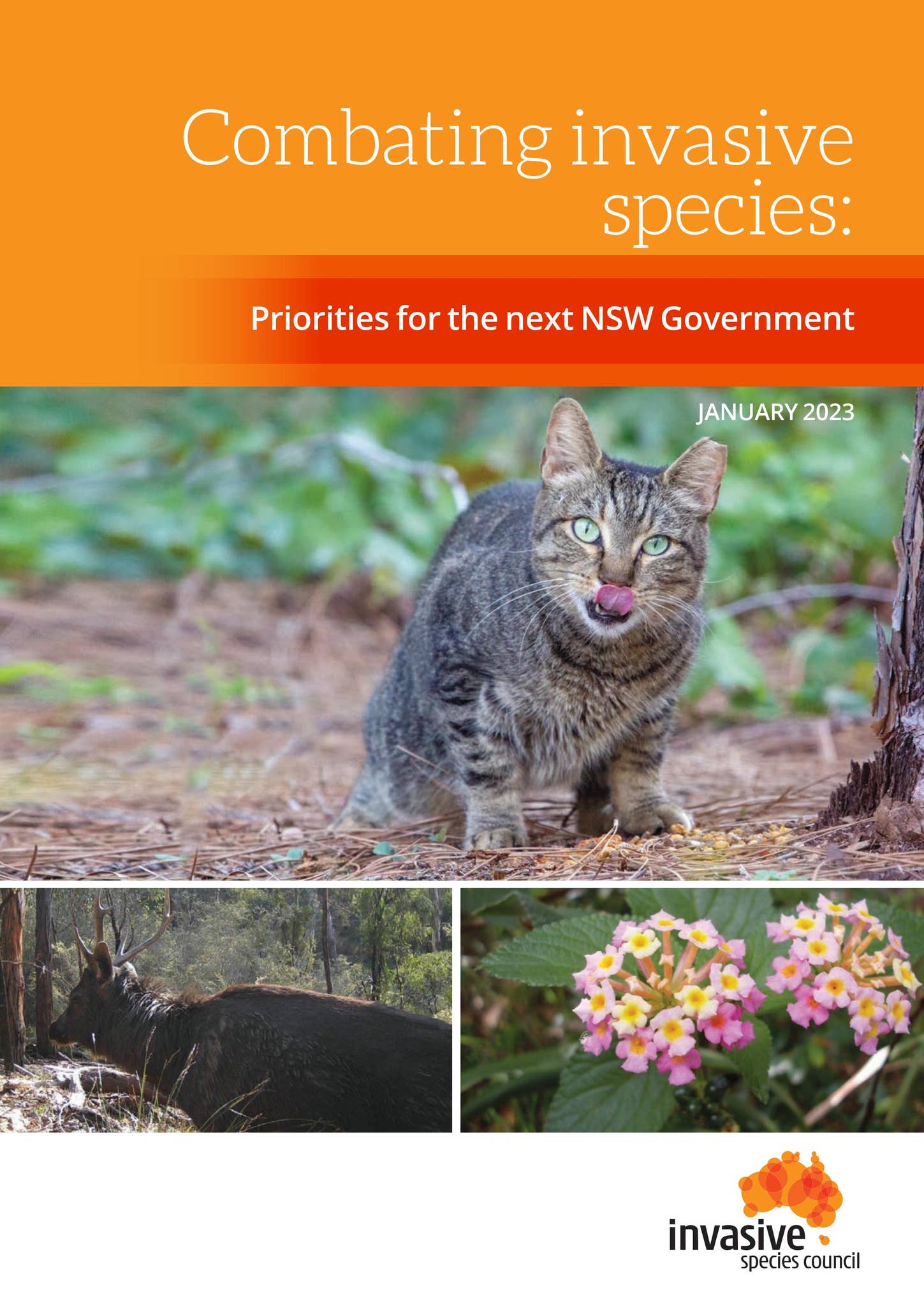 Combating invasive species: Priorities for the next NSW Government by ...