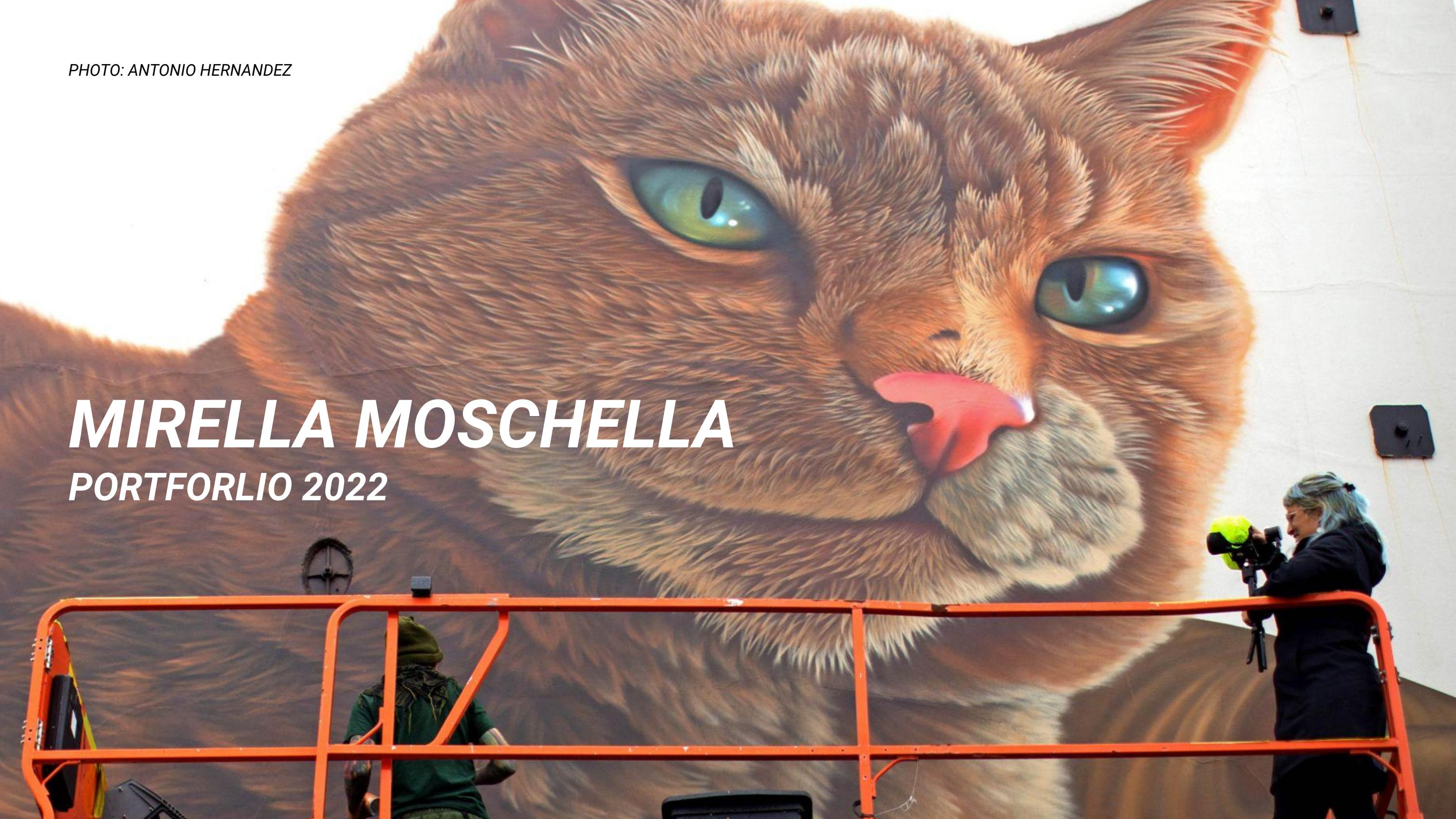 Mirella Moschella Portfolio 2022 by Mire Moschella Coello - Issuu