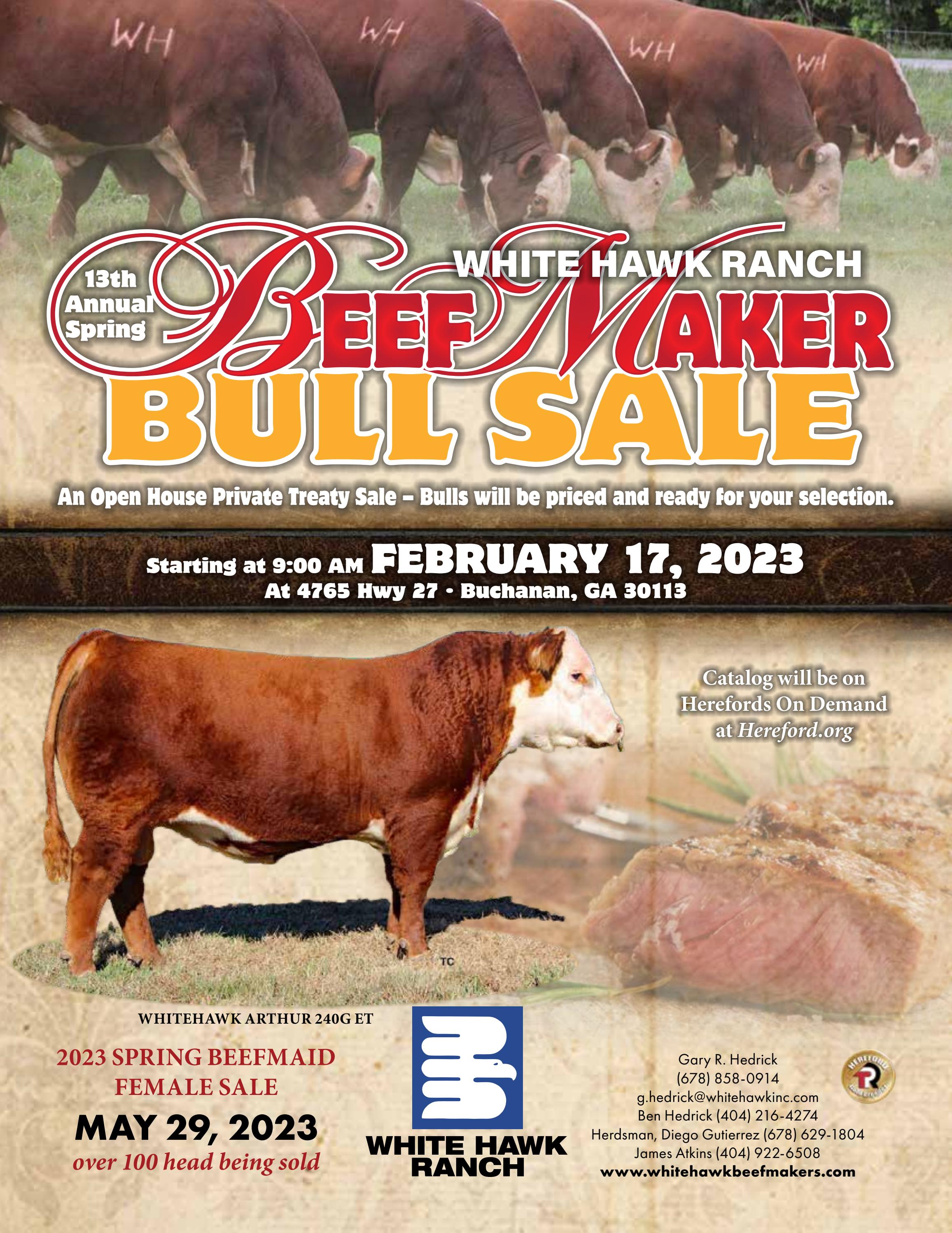 Beef Maker Bull Sale | White Hawk Ranch by American Hereford ...
