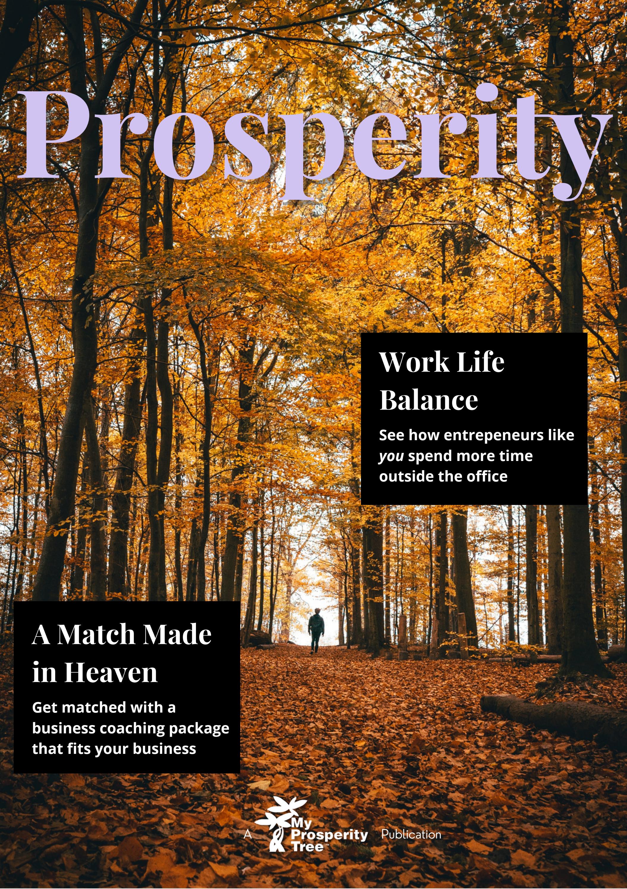 Prosperity Magazine Vol.1 (Q1_23) by MyProsperityTree - Issuu