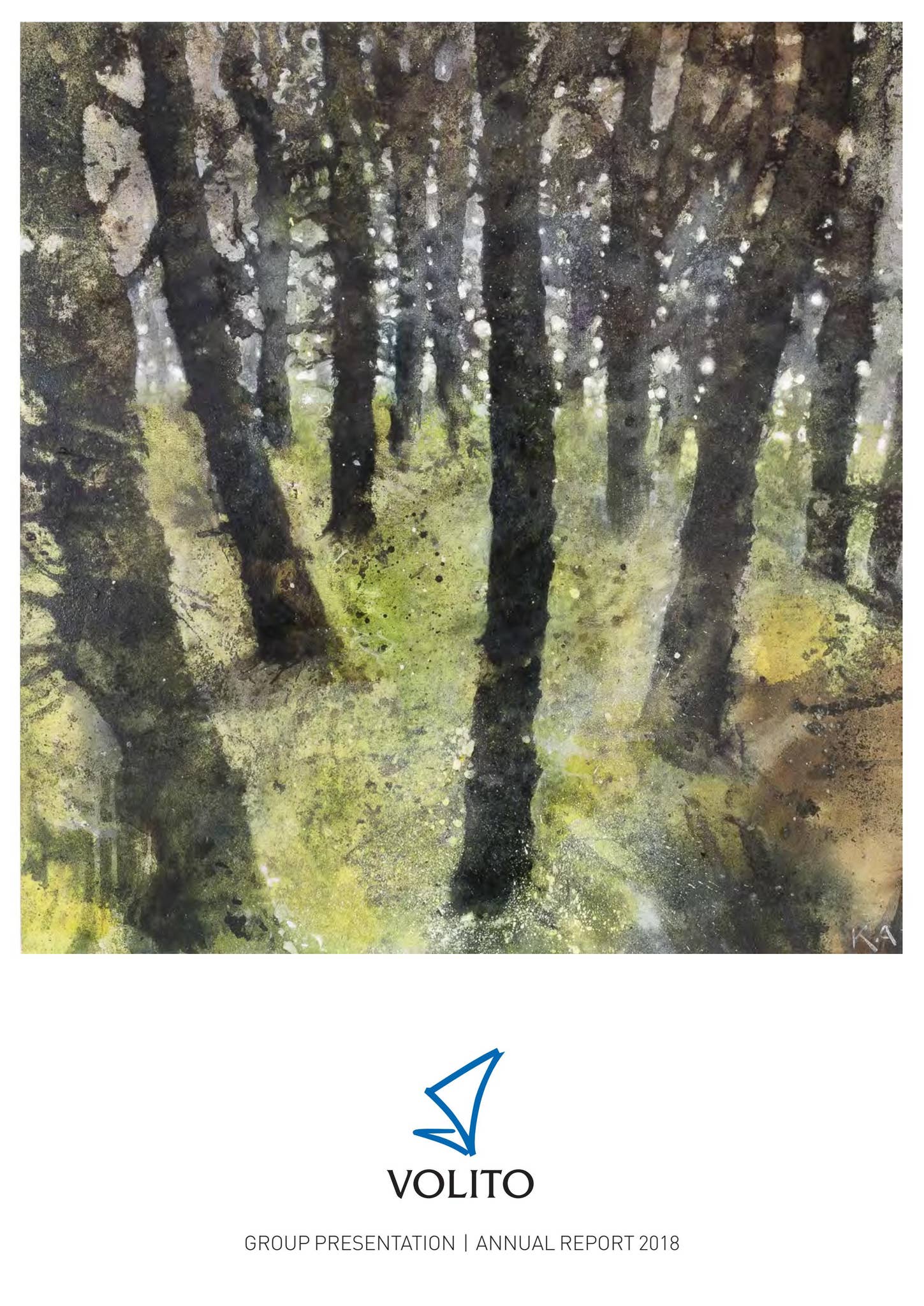 Volito annual report 2018 by volitogroup - Issuu