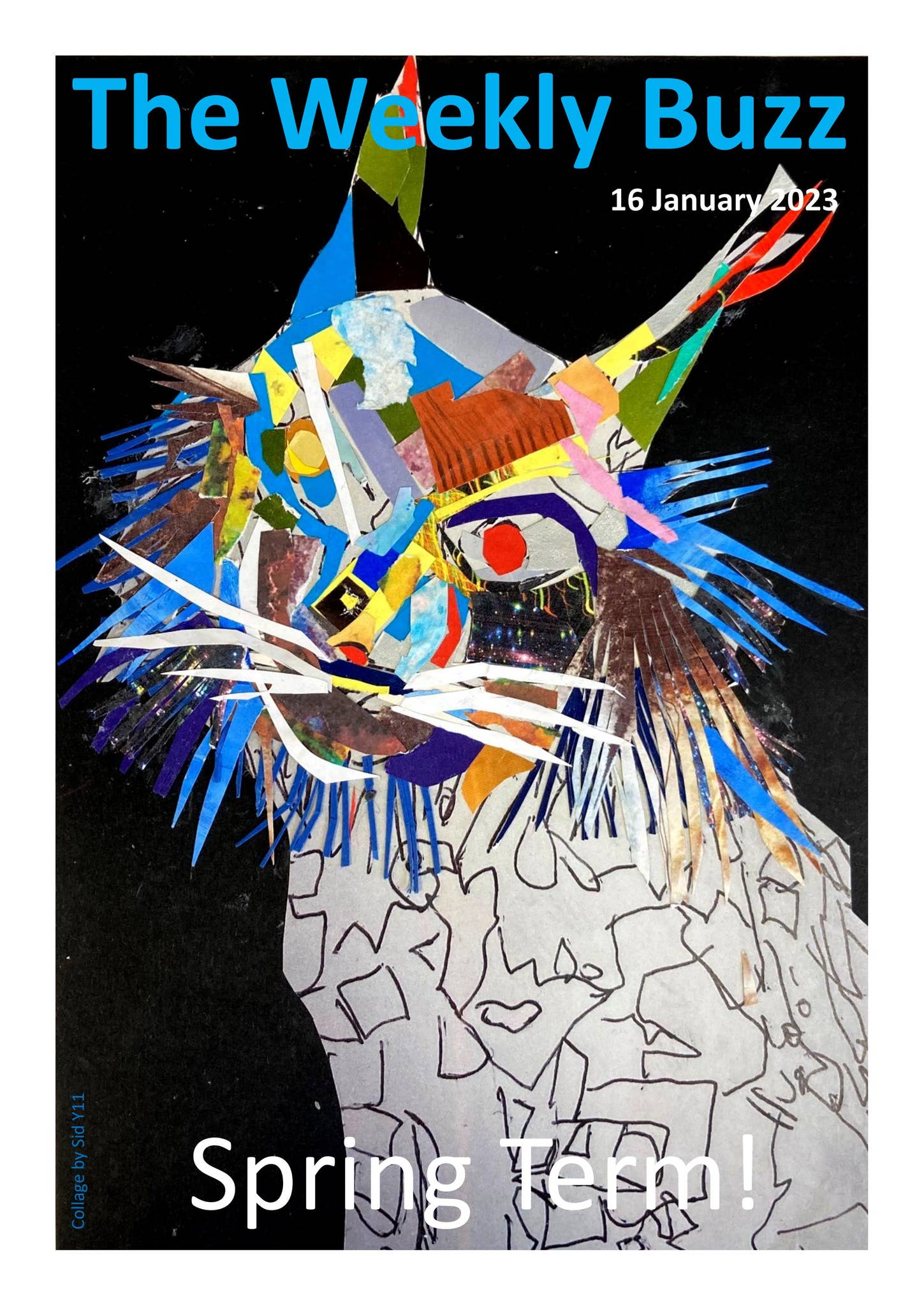 Weekly Buzz 16 January 2023 by Portland Place School - Issuu