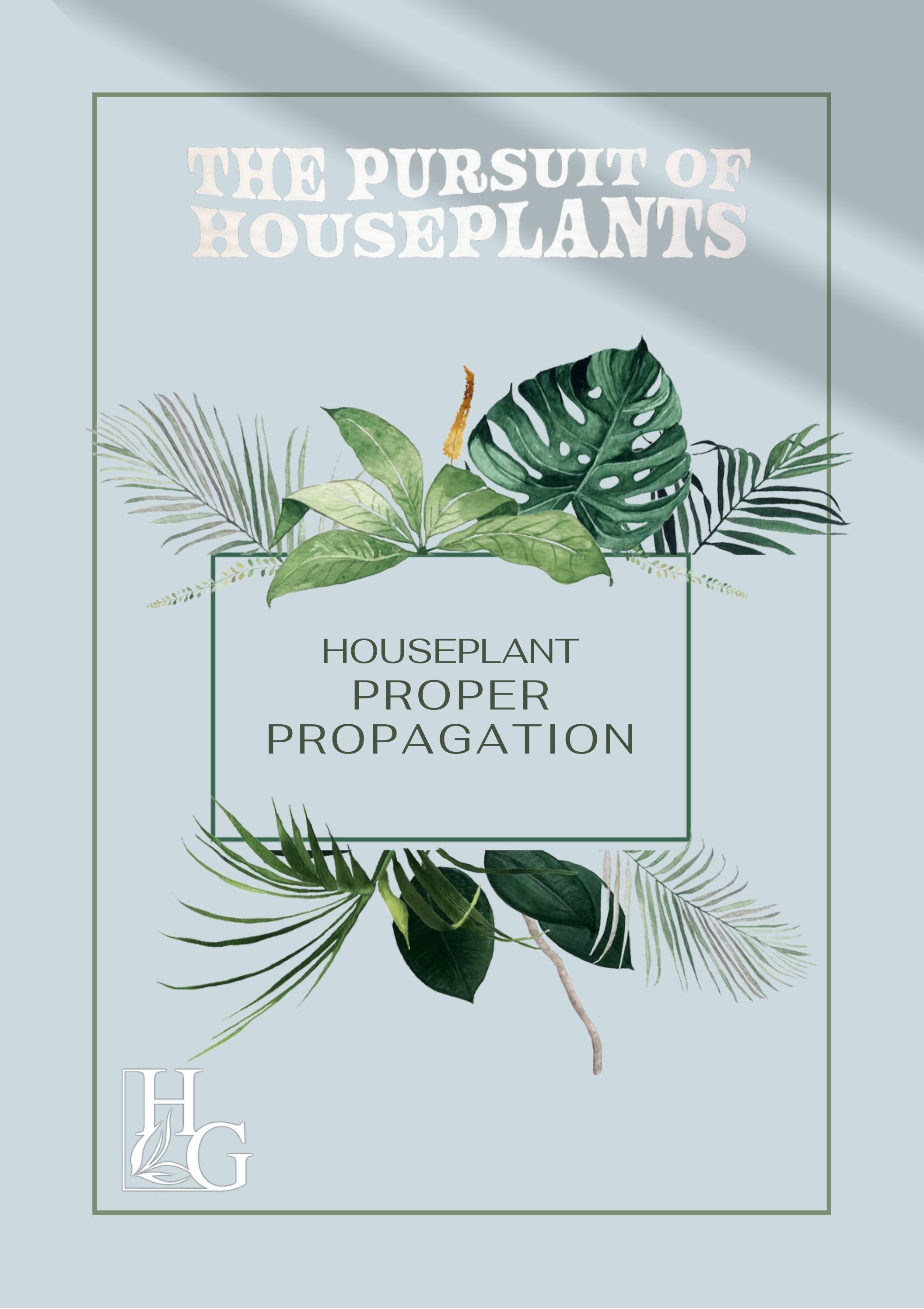 Week 2 - Proper Progagation by Homestead Gardens - Issuu