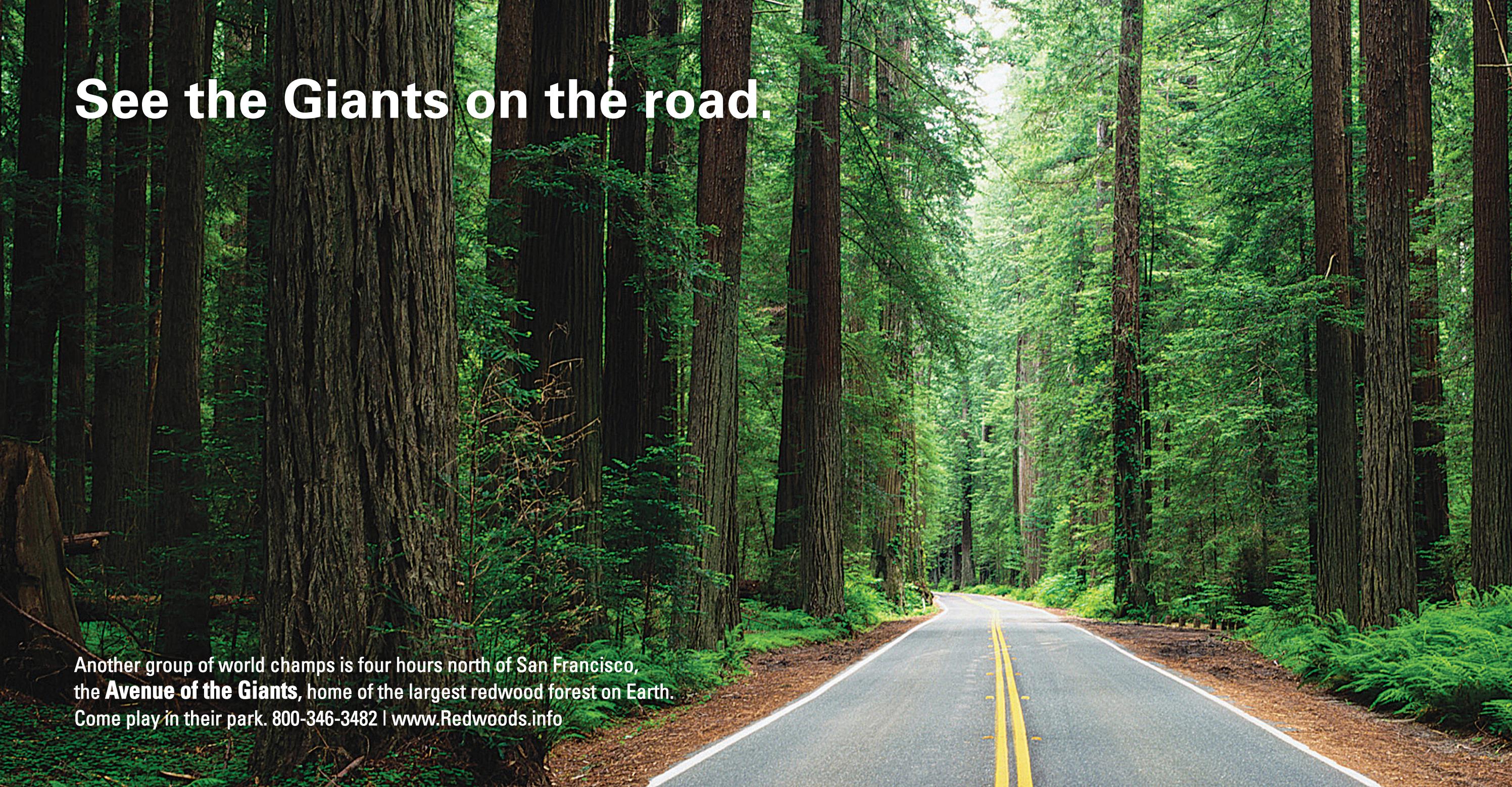 Ad in San Francisco Giants Magazine by StengerMedia - Issuu