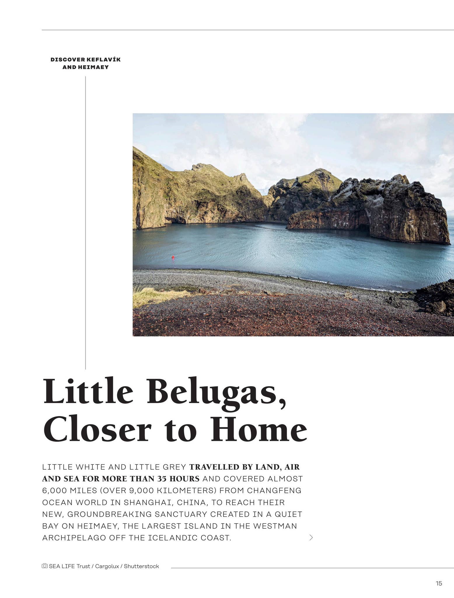Charlie Victor Nr.8 — Discover by PAPERJAM - Issuu