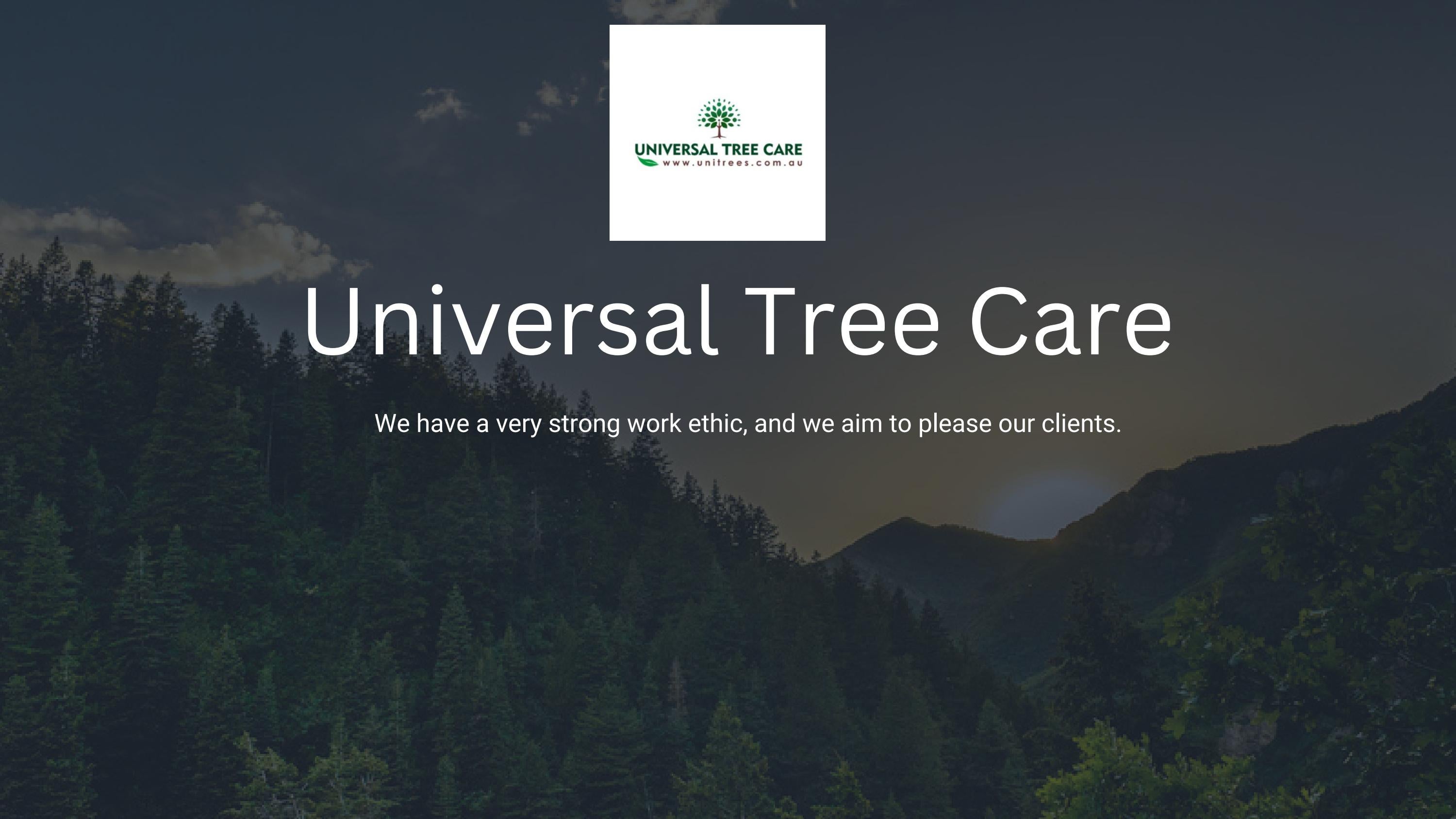 Providing the best possible tree removal services in Sydney by ...