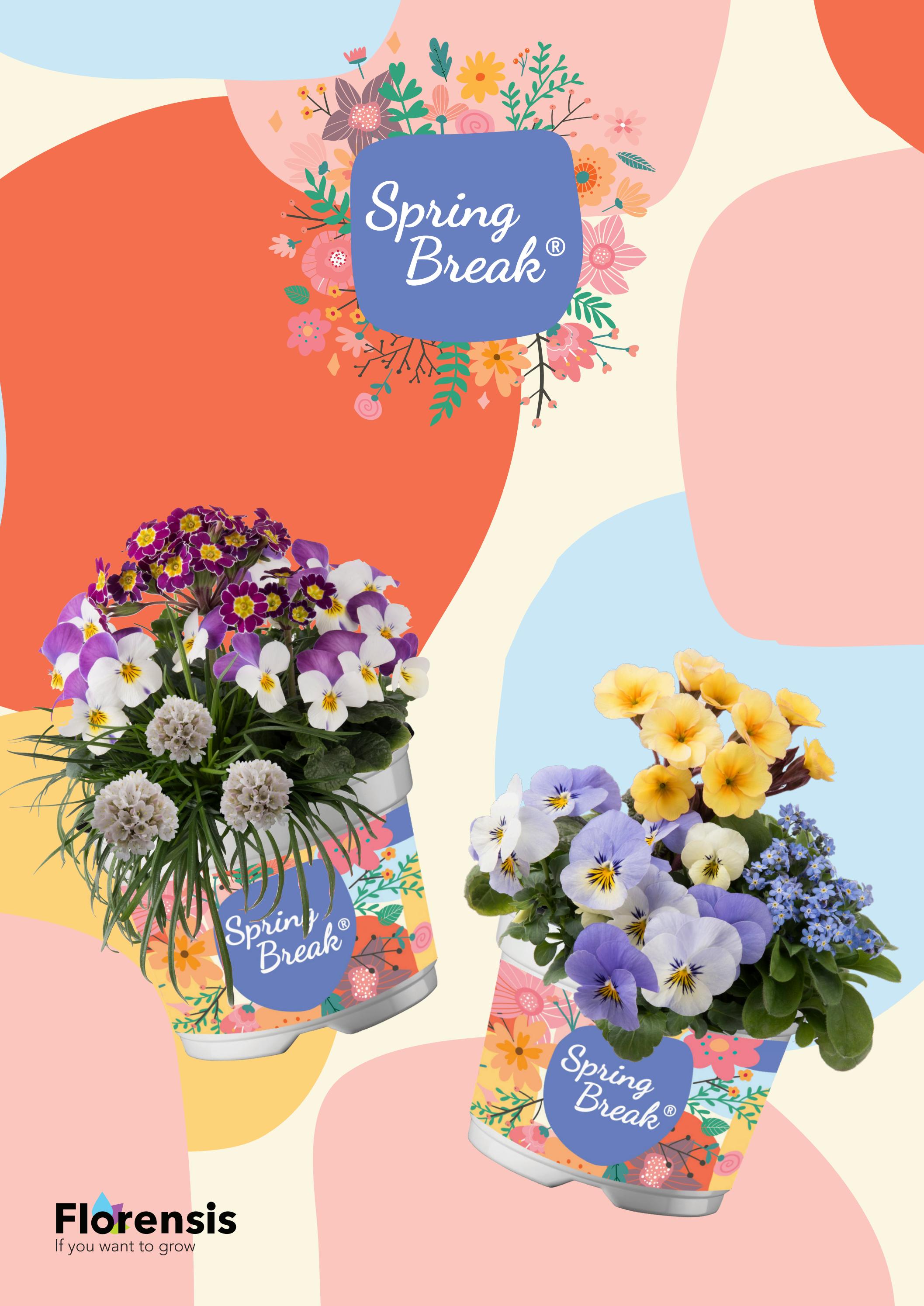 Florensis | Spring Break by Florensis - Issuu