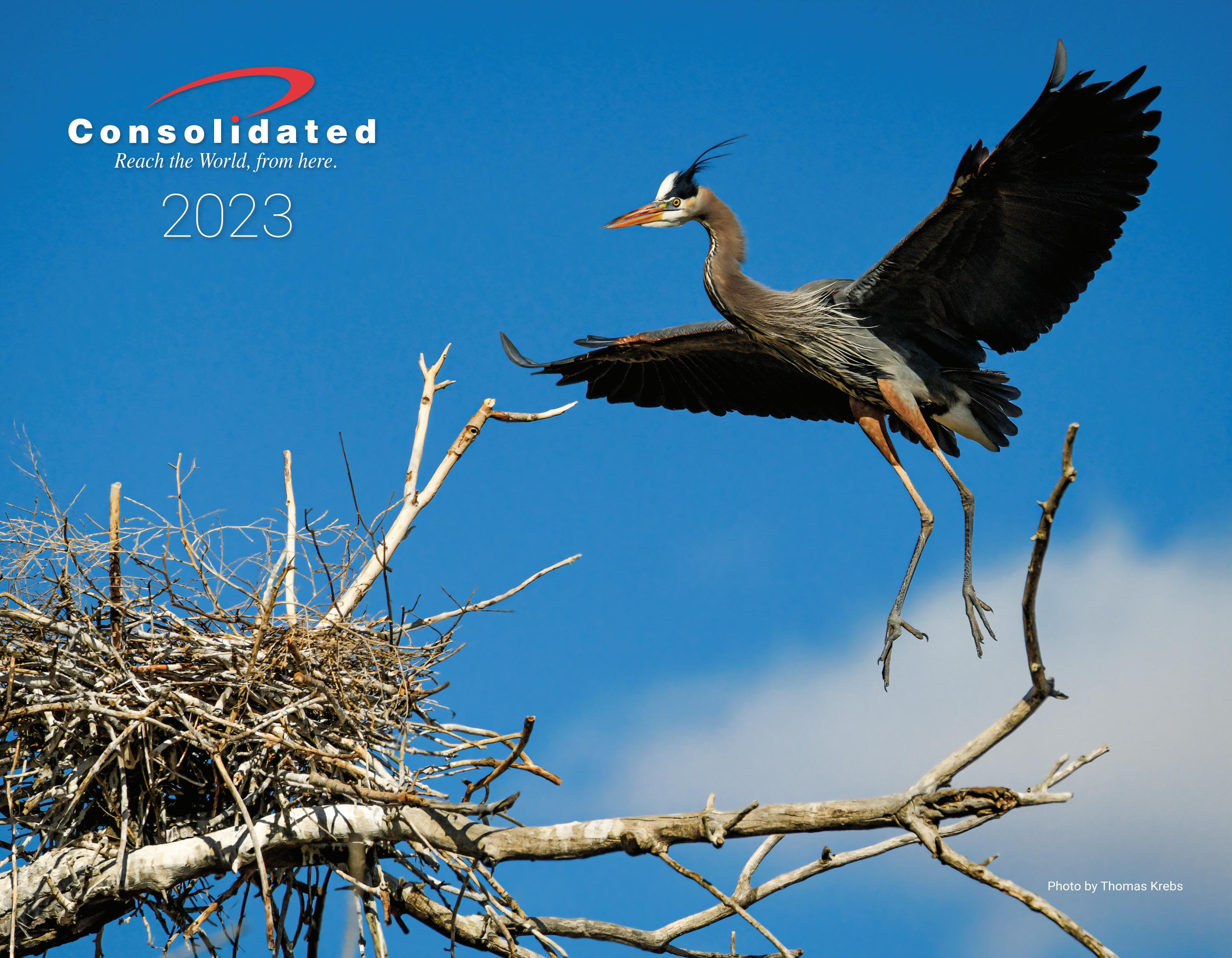 2023 Consolidated Calendar by Consolidated Telcom - Issuu