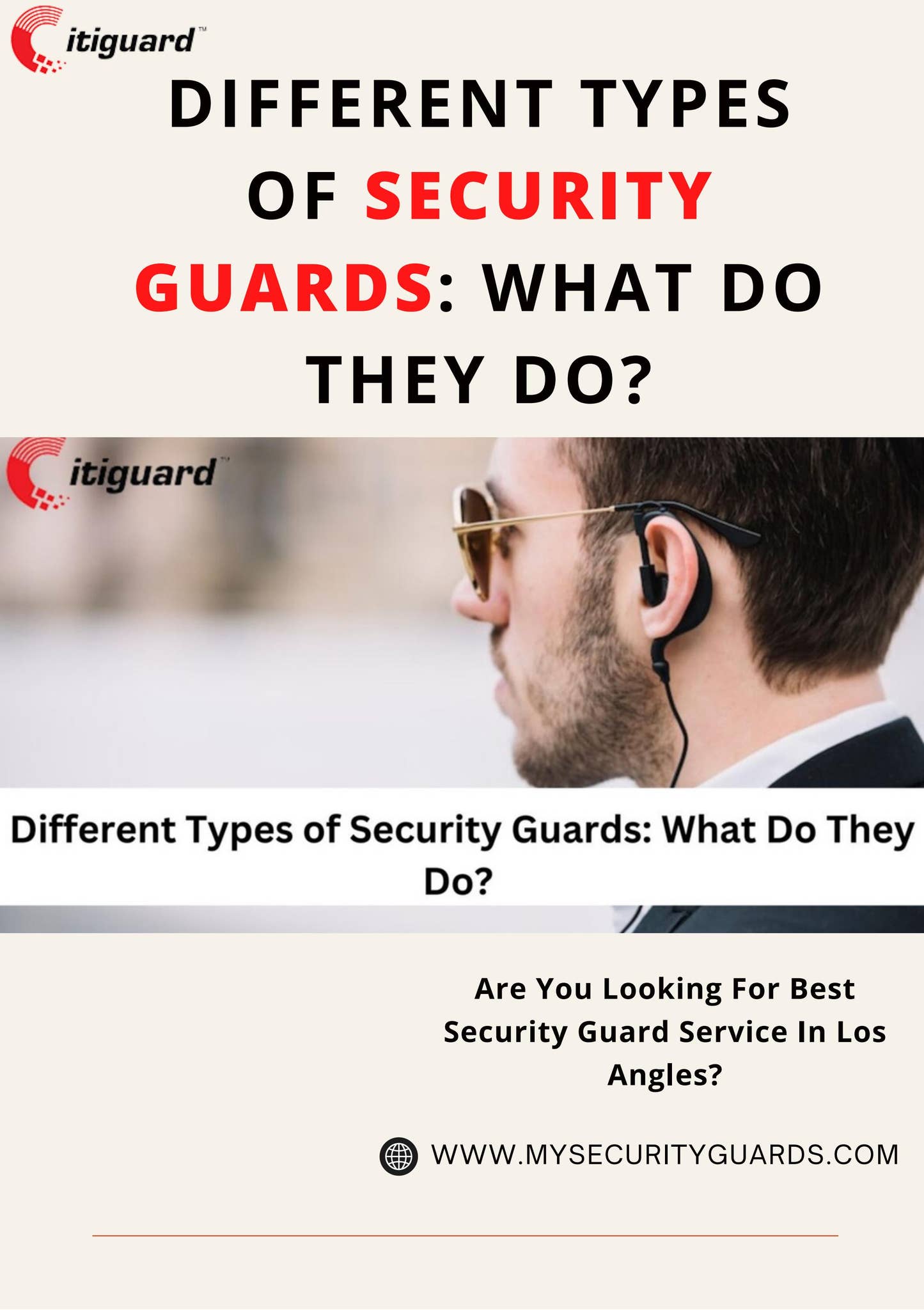 Different Types of Security Guards: What Do They Do? by ...