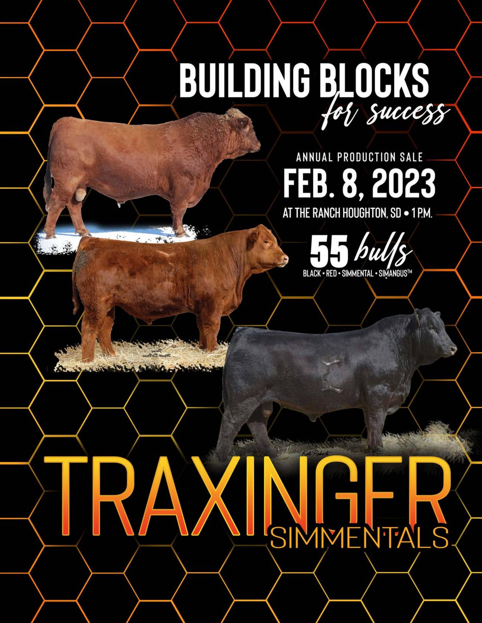 Traxinger Simmental - 2023 Spring Bull Sale Catalog by LivestockDirect ...