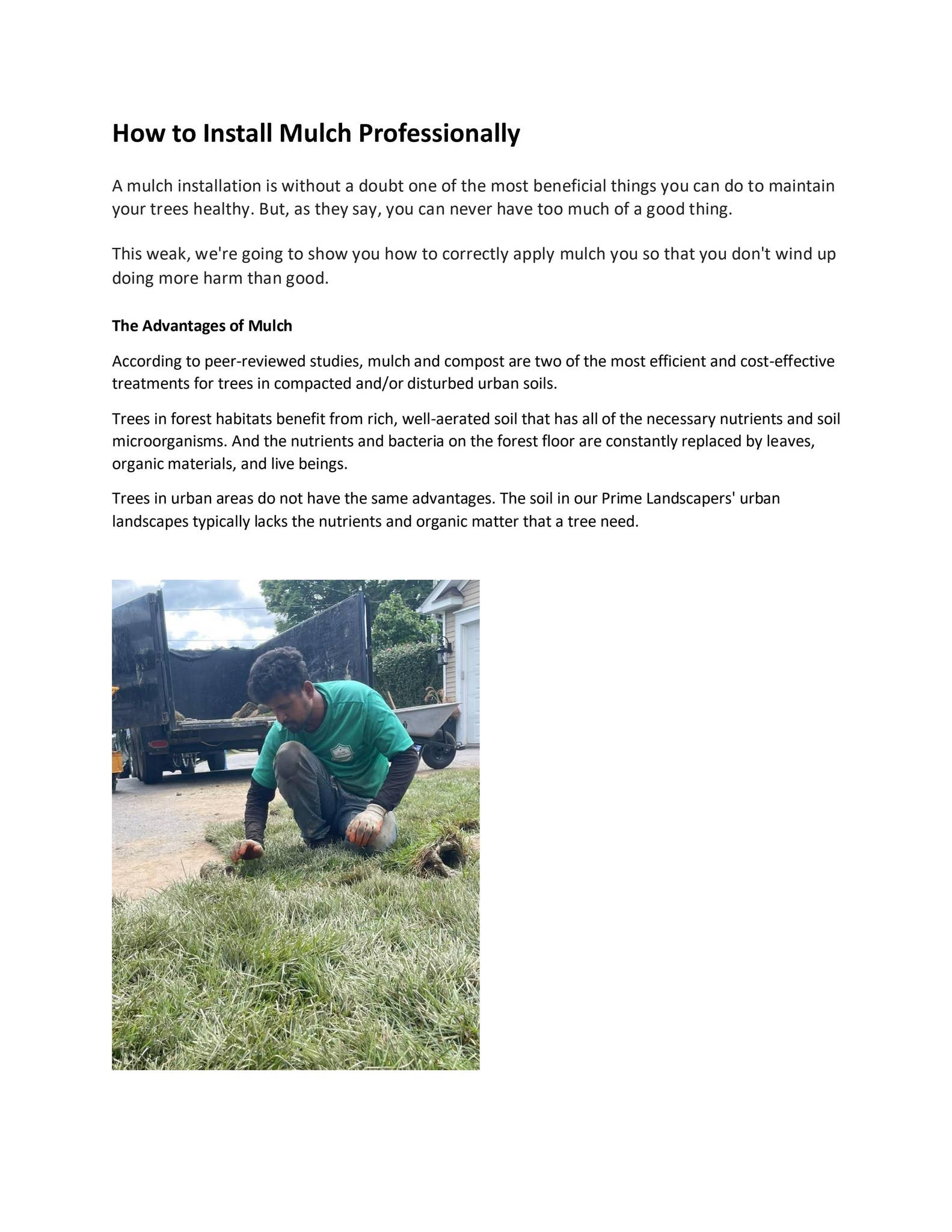 How to Install Mulch Professionally by Prime Landscapers - Issuu