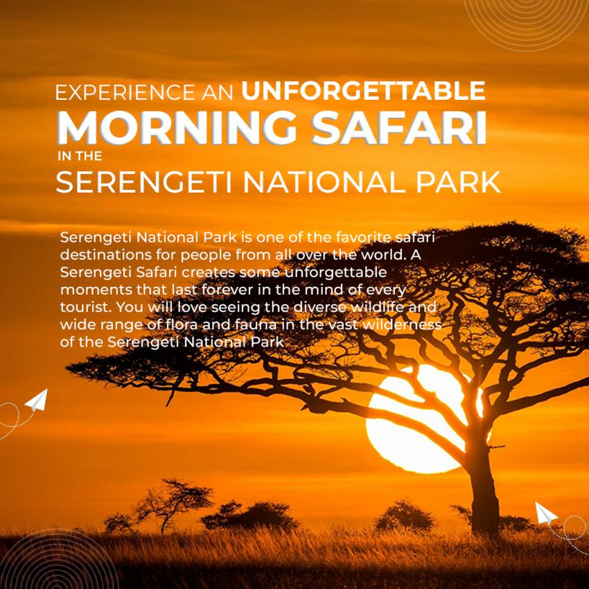 Experience An Unforgettable Morning Safari In The Serengeti National ...