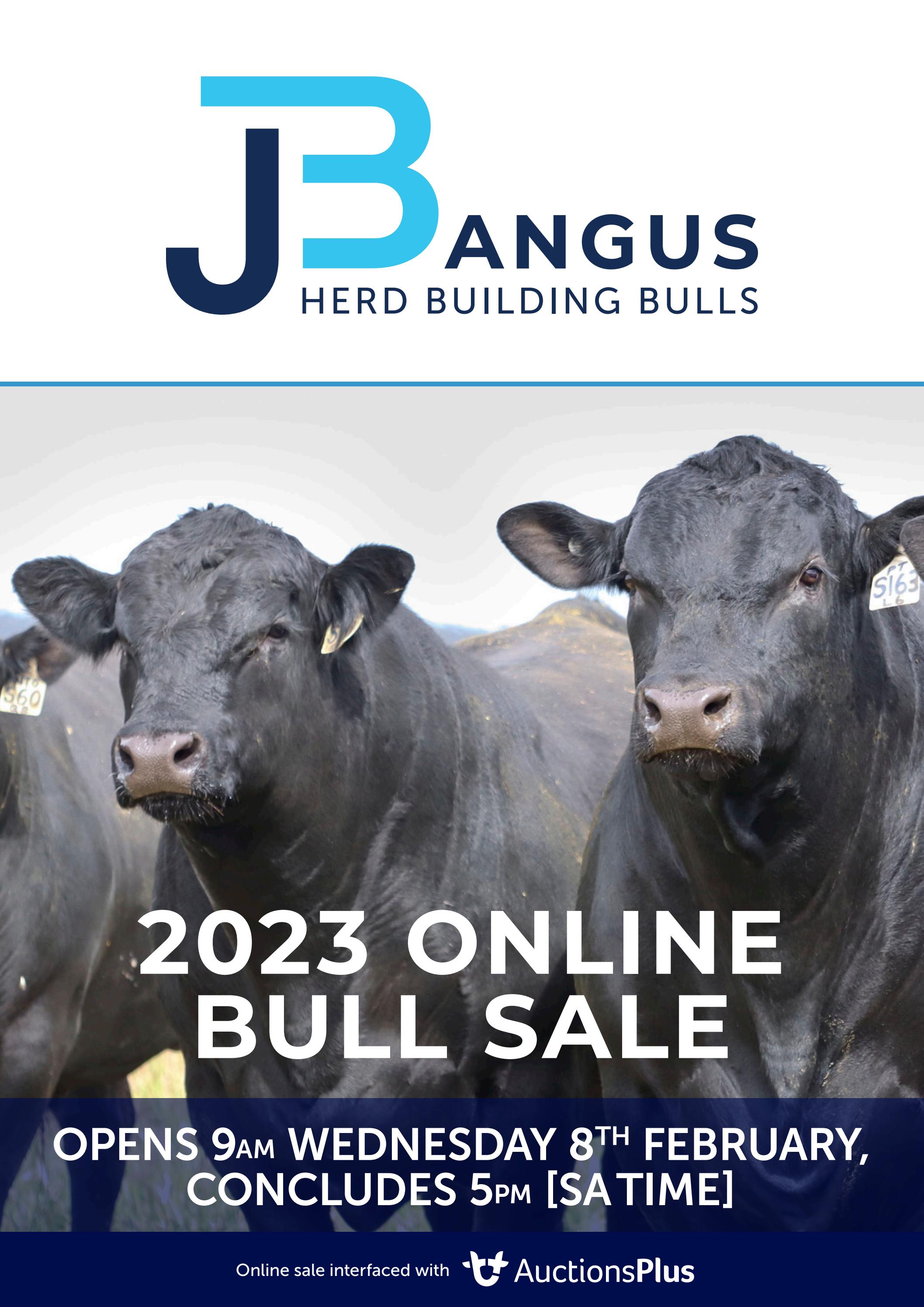 JB Angus 2023 Bull Sale Catalogue by Eight Pointer Creative Agency - Issuu