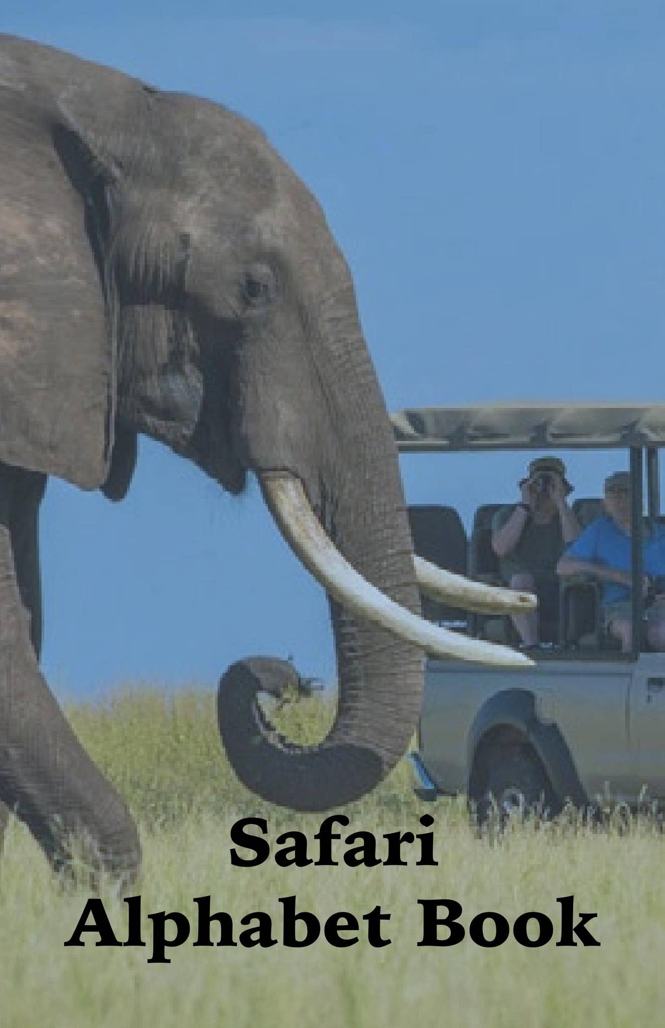 Safari Alphabet by Kailey Boadway by SUNYNCCC - Issuu
