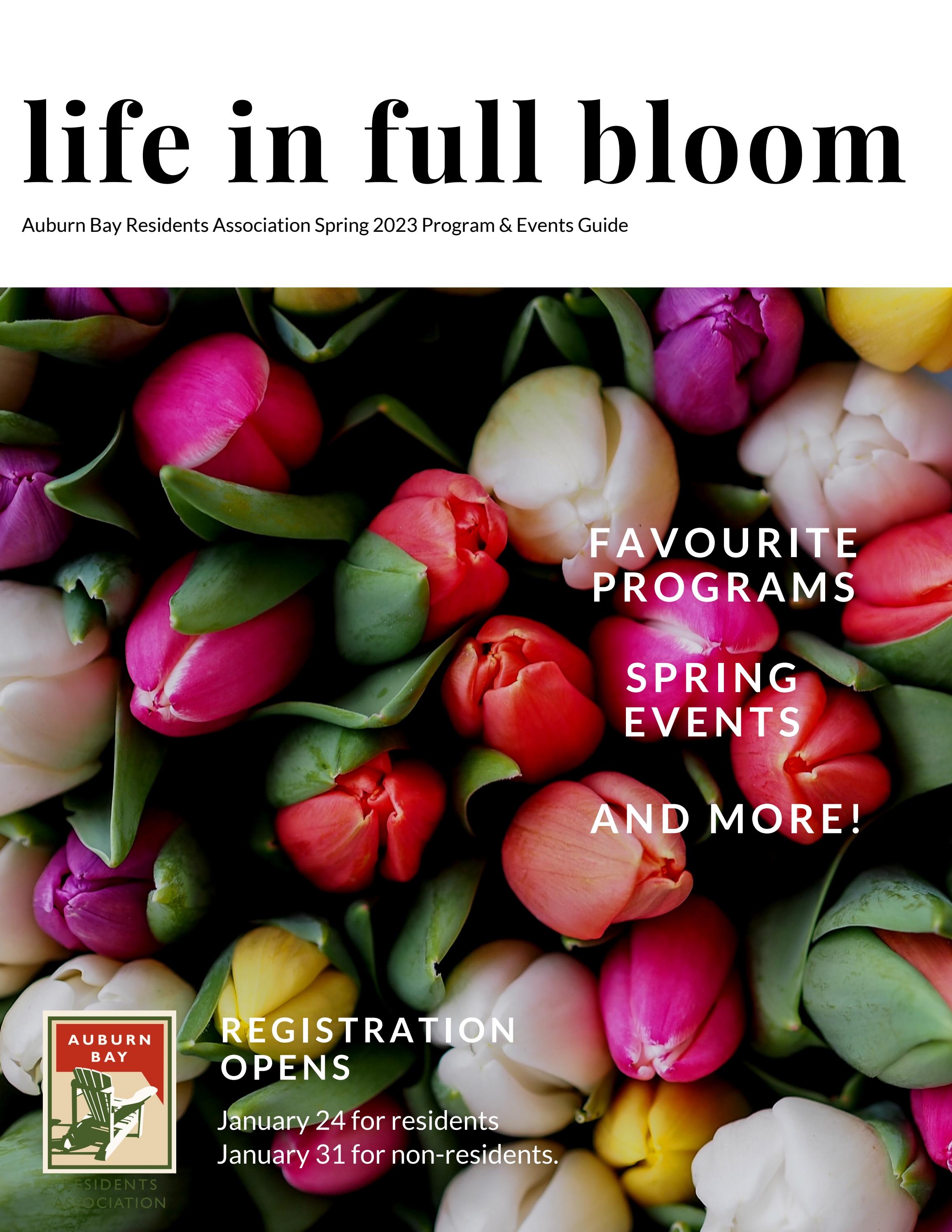 ABRA Spring 2023 Program Guide by AuburnBayRA - Issuu