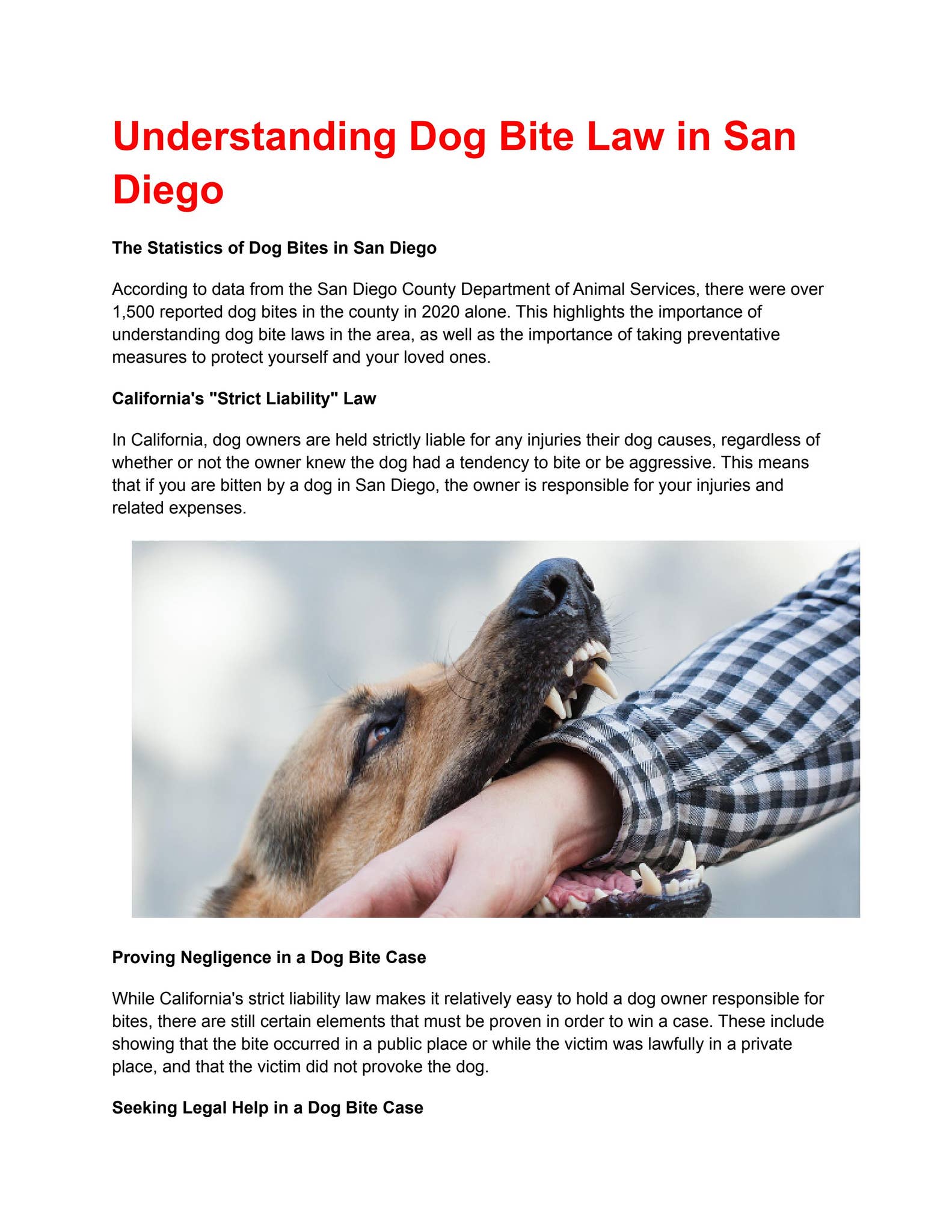 Understanding Dog Bite Law in San Diego by Personal Injury San Diego ...
