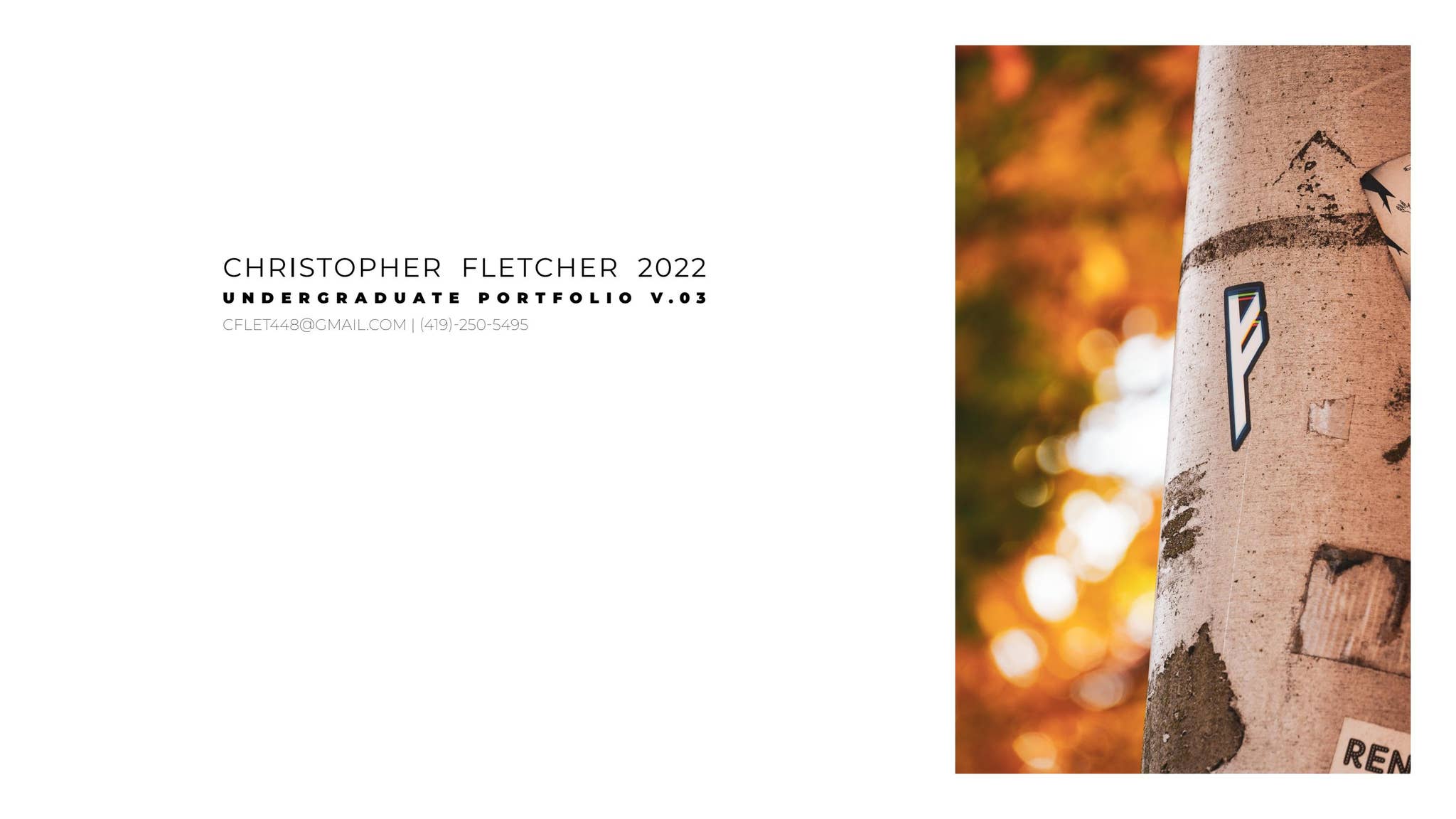 Christopher Fletcher Academic Portfolio for Graduate Applications by ...